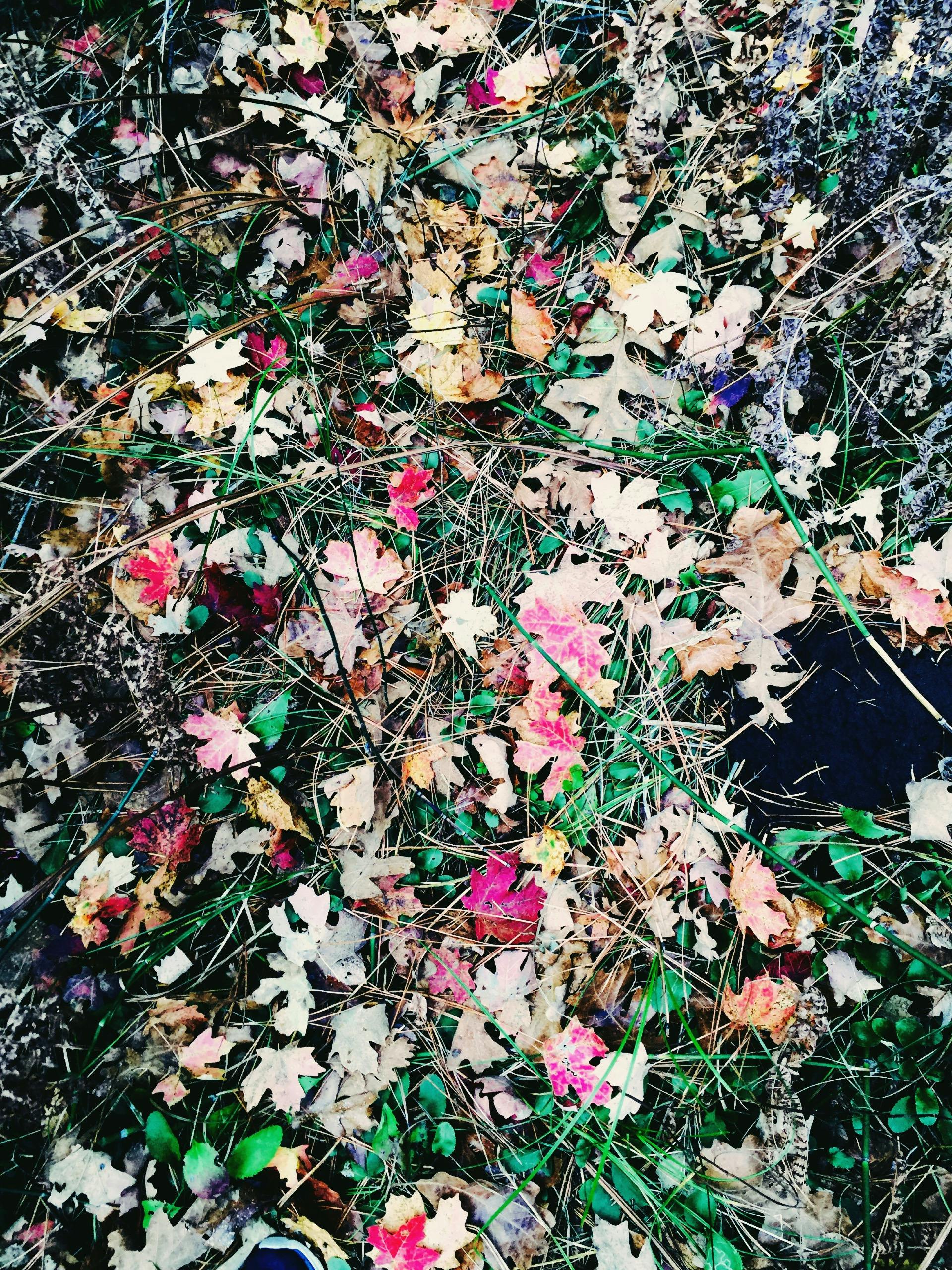 Hui Huang - Photography