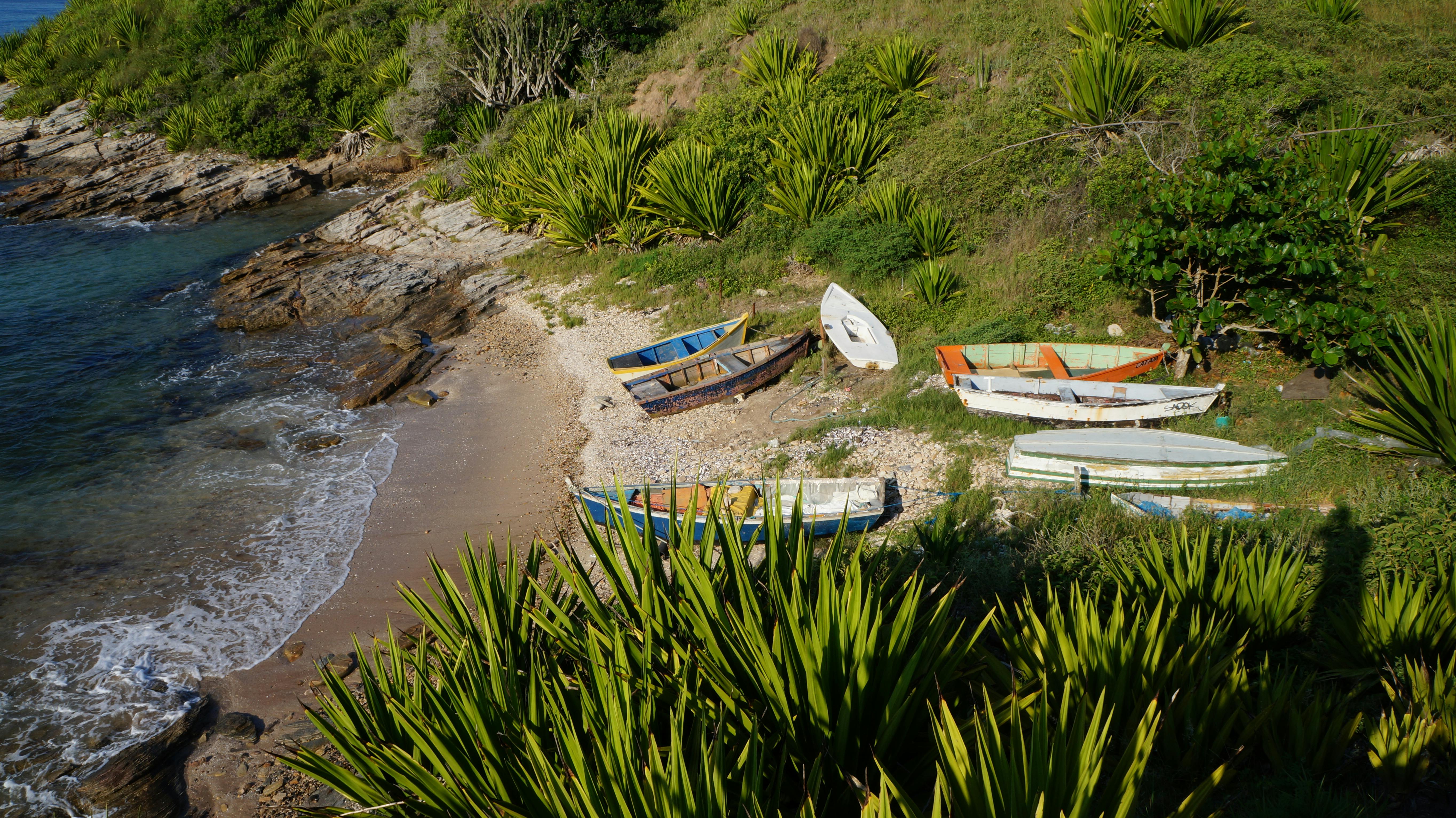 Boats in Bay · Free Stock Photo