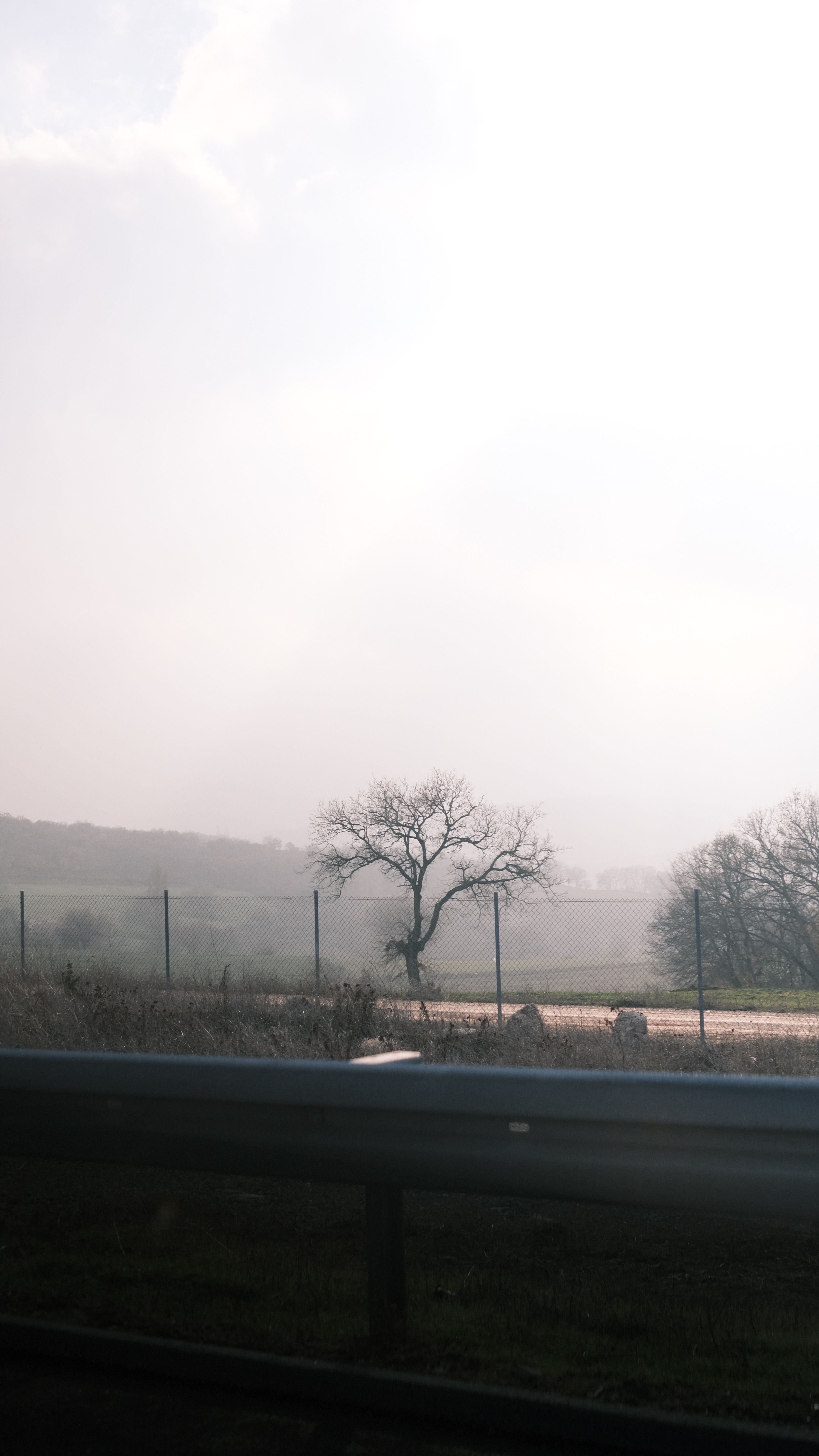 Gloomy Photos, Download The BEST Free Gloomy Stock Photos & HD Images
