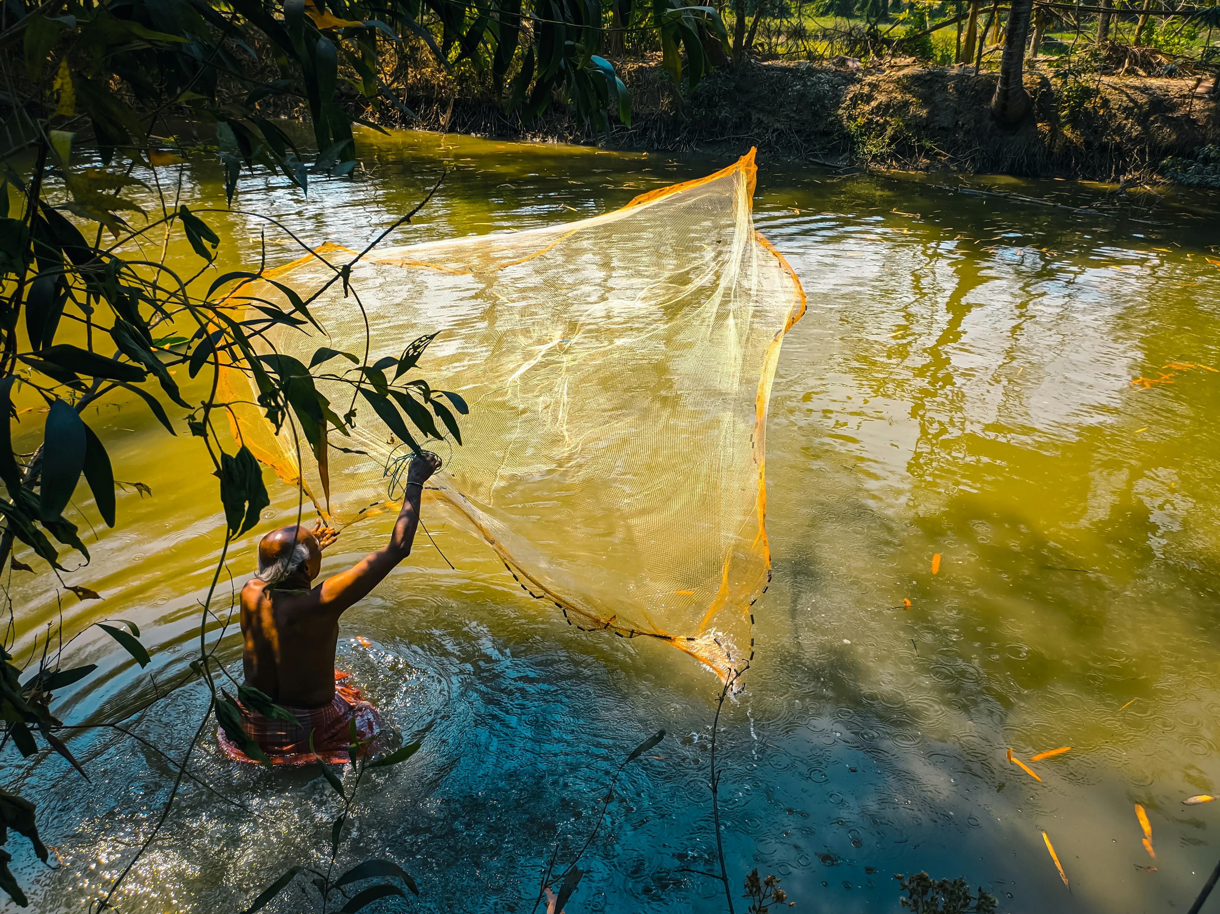 Man Using a Fishing Net in a River · Free Stock Photo