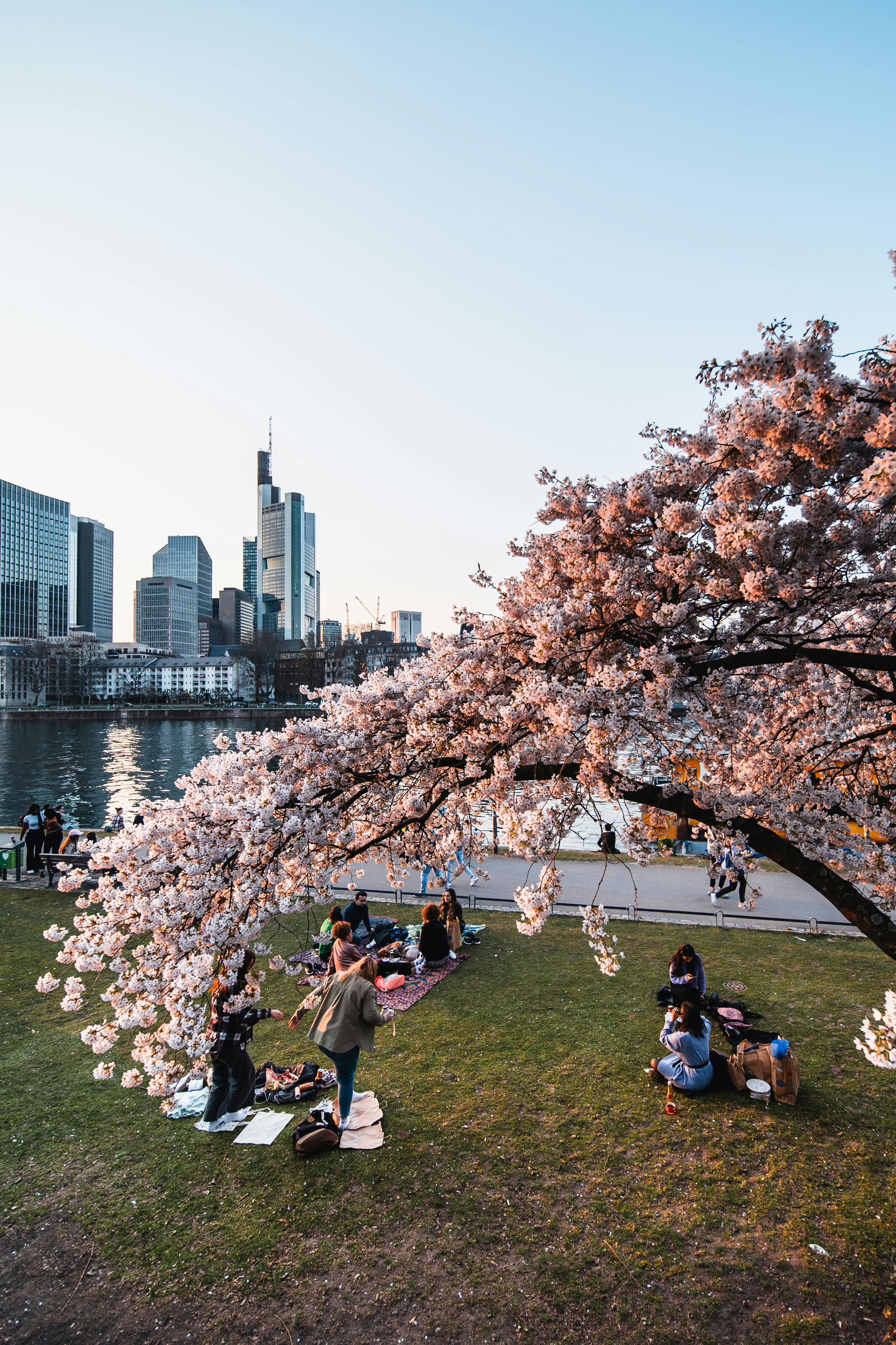 People Sitting on Green Grass Field Near Body of Water · Free Stock Photo