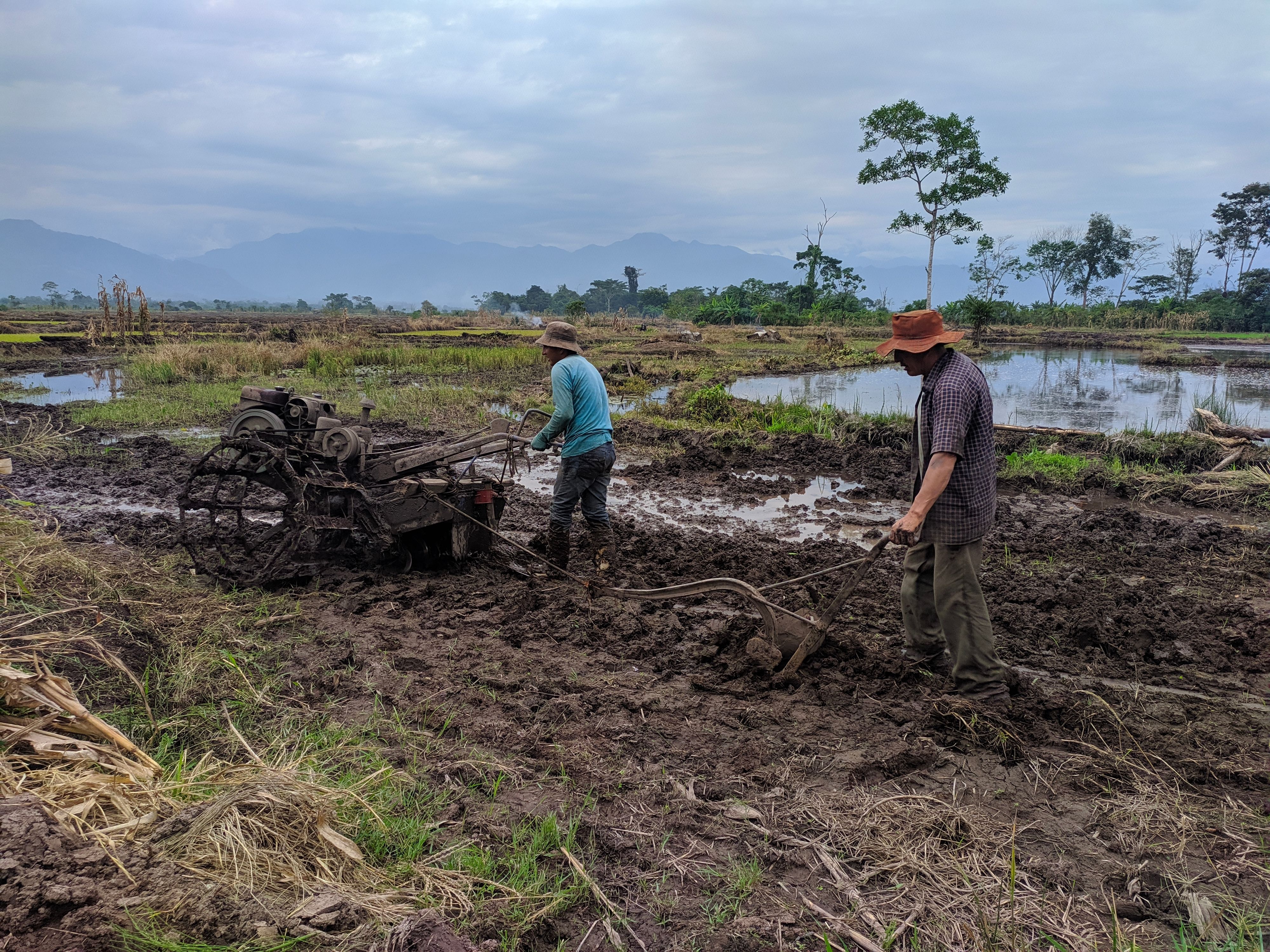 Men Ploughing the Field · Free Stock Photo