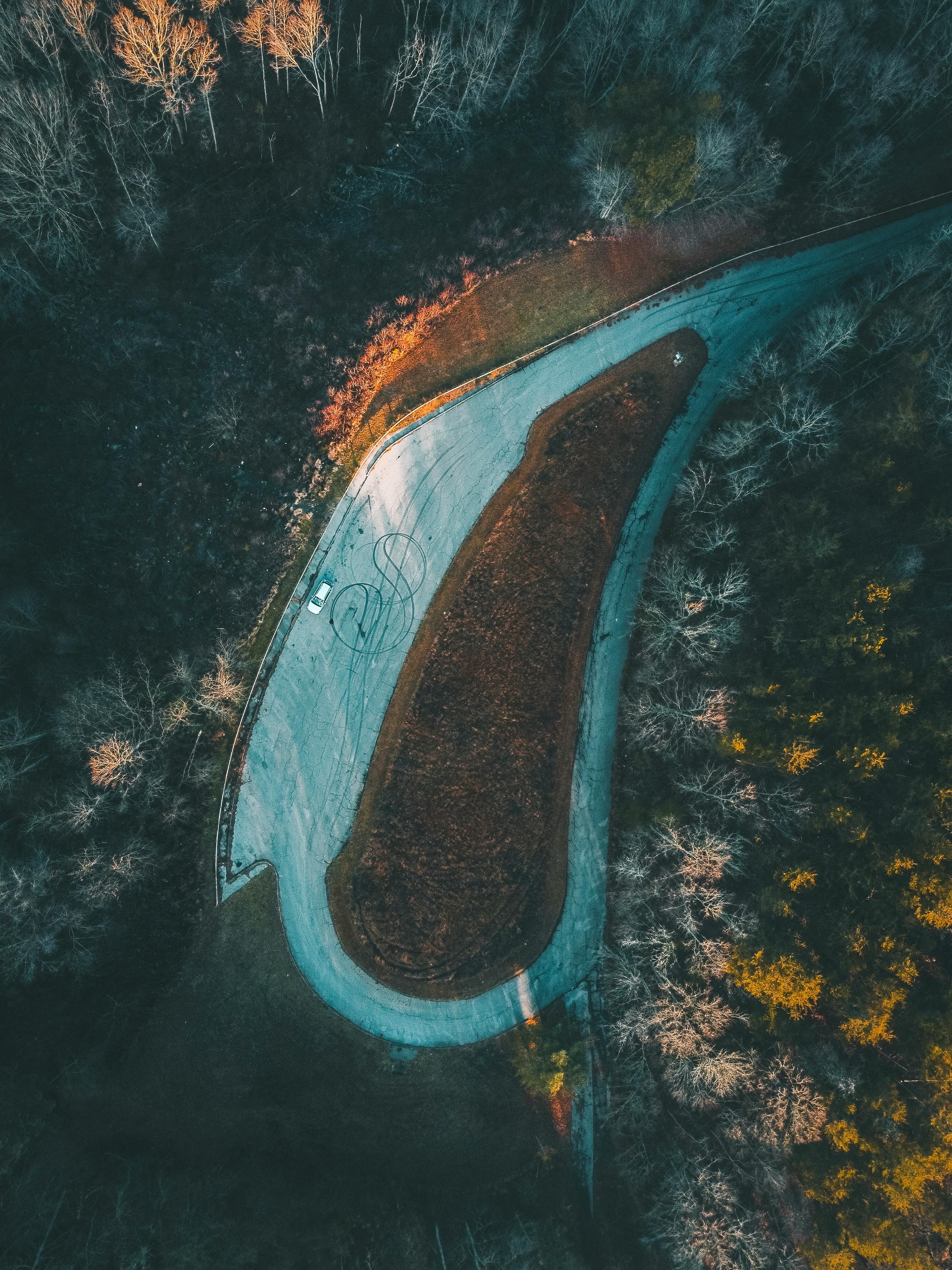 Forest Loop Photos, Download The BEST Free Forest Loop Stock Photos ...