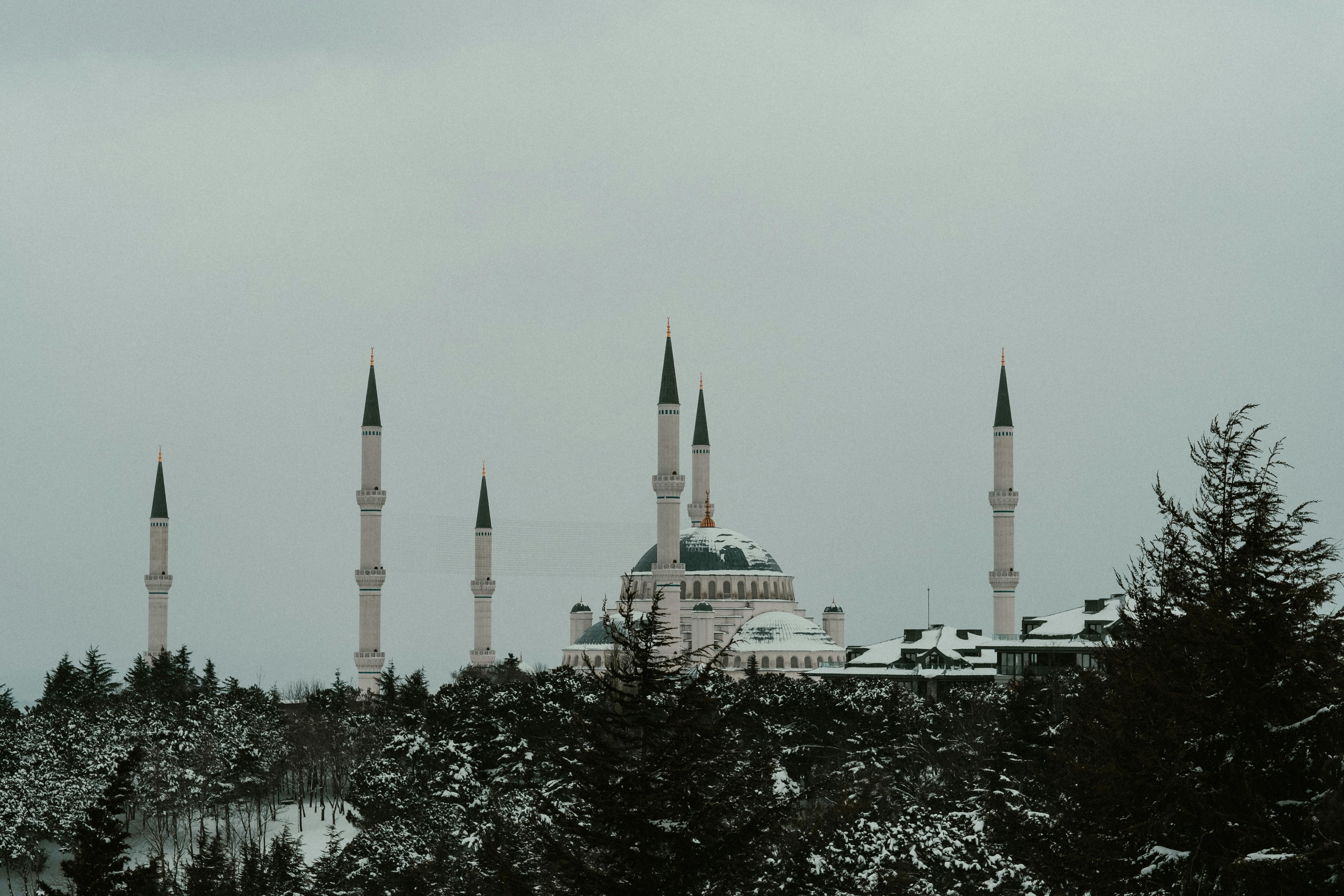 Cami Photos, Download The BEST Free Cami Stock Photos & HD Images