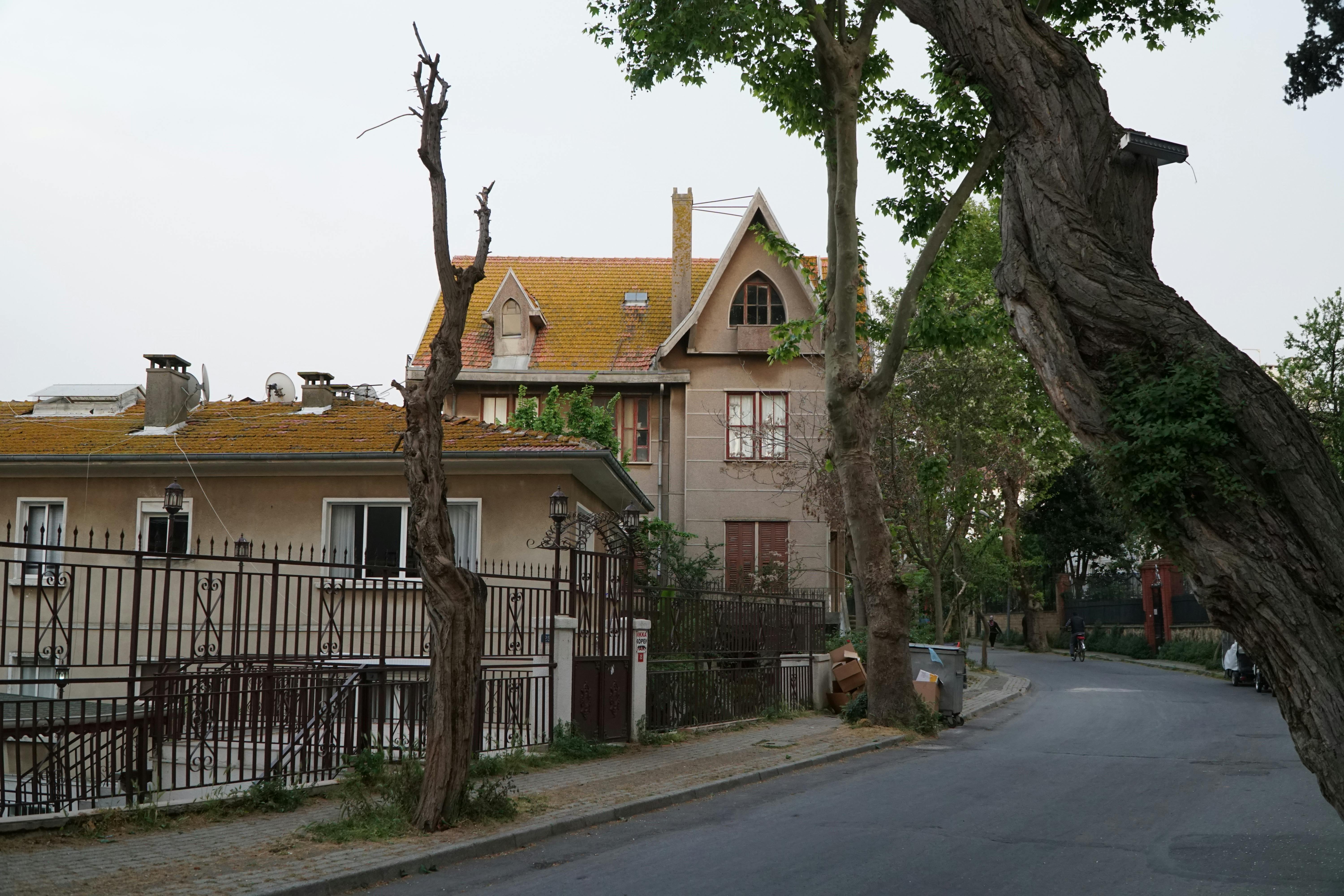 House near a Tree · Free Stock Photo
