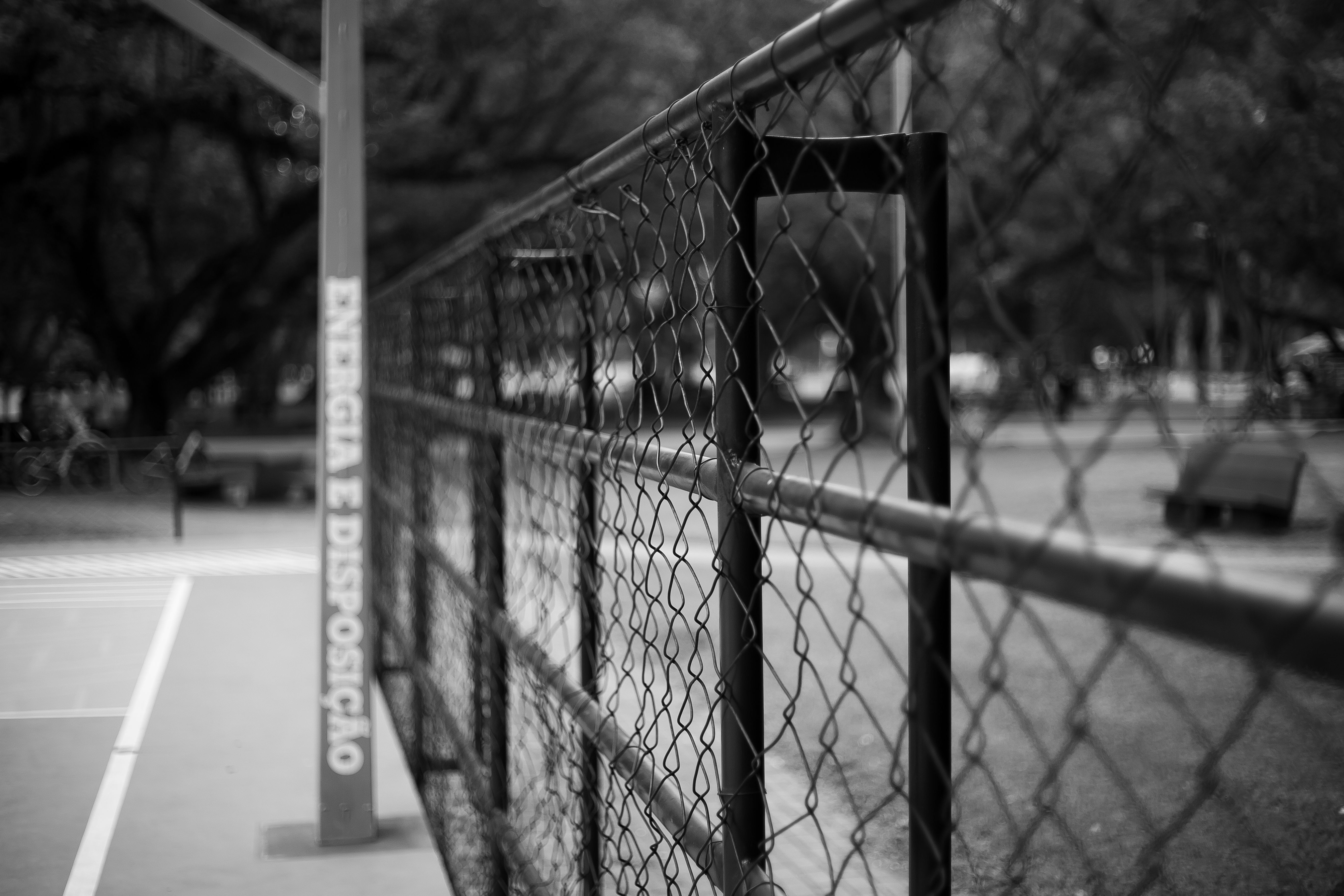 Grayscale Photo of Chain Link Fence · Free Stock Photo
