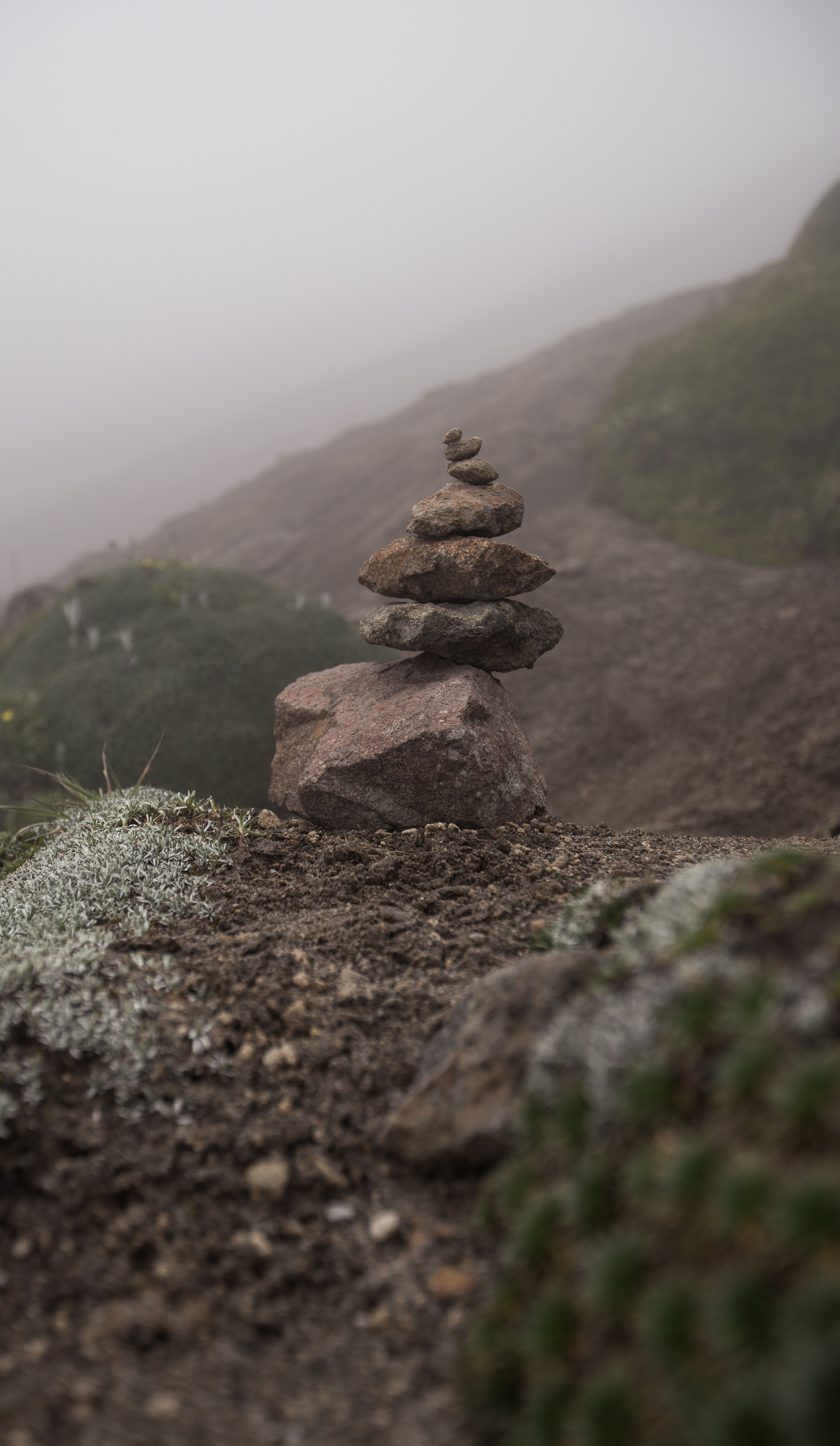 Person Holding a Stone · Free Stock Photo