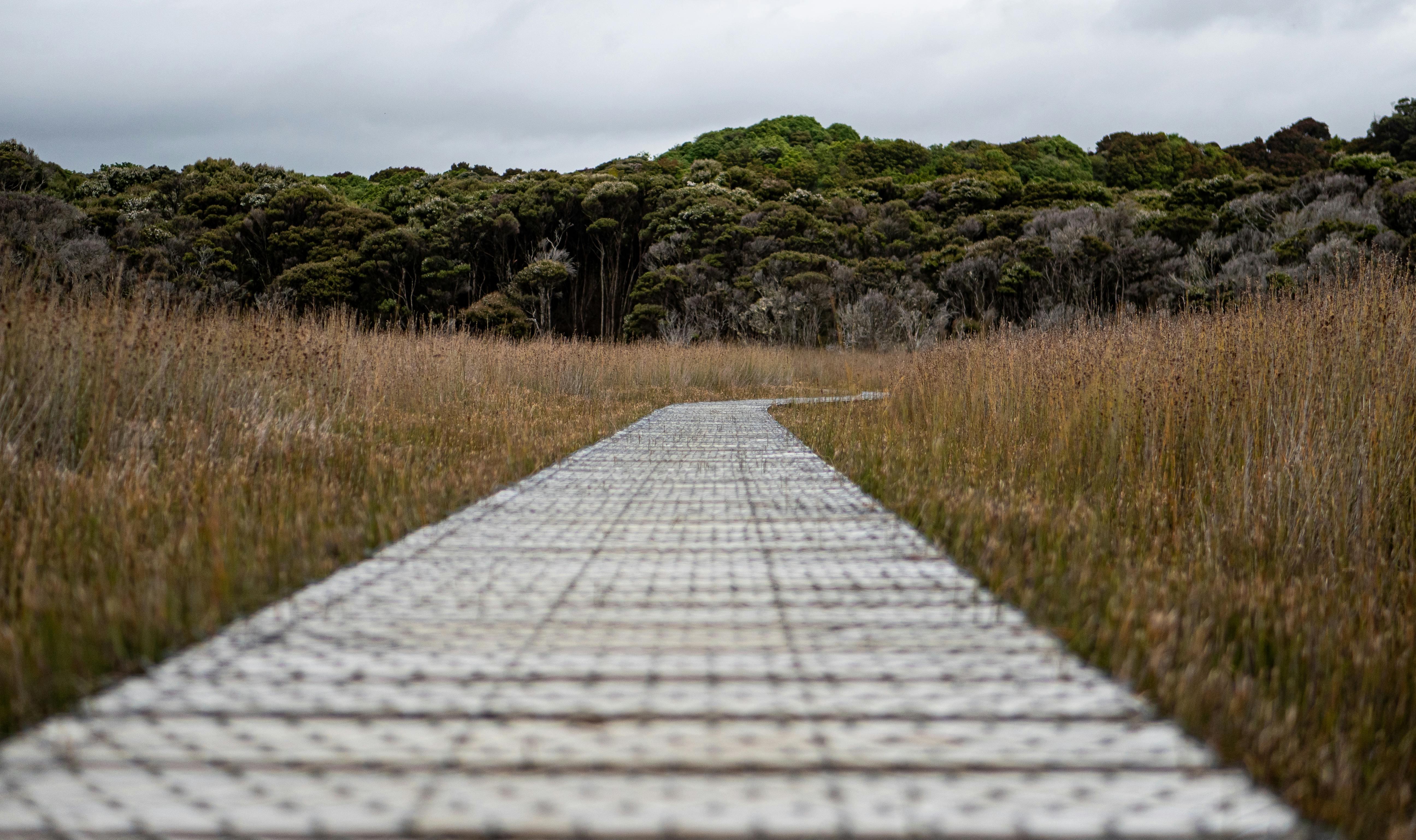 Gray Castle Under Dim Sky during Daytime · Free Stock Photo