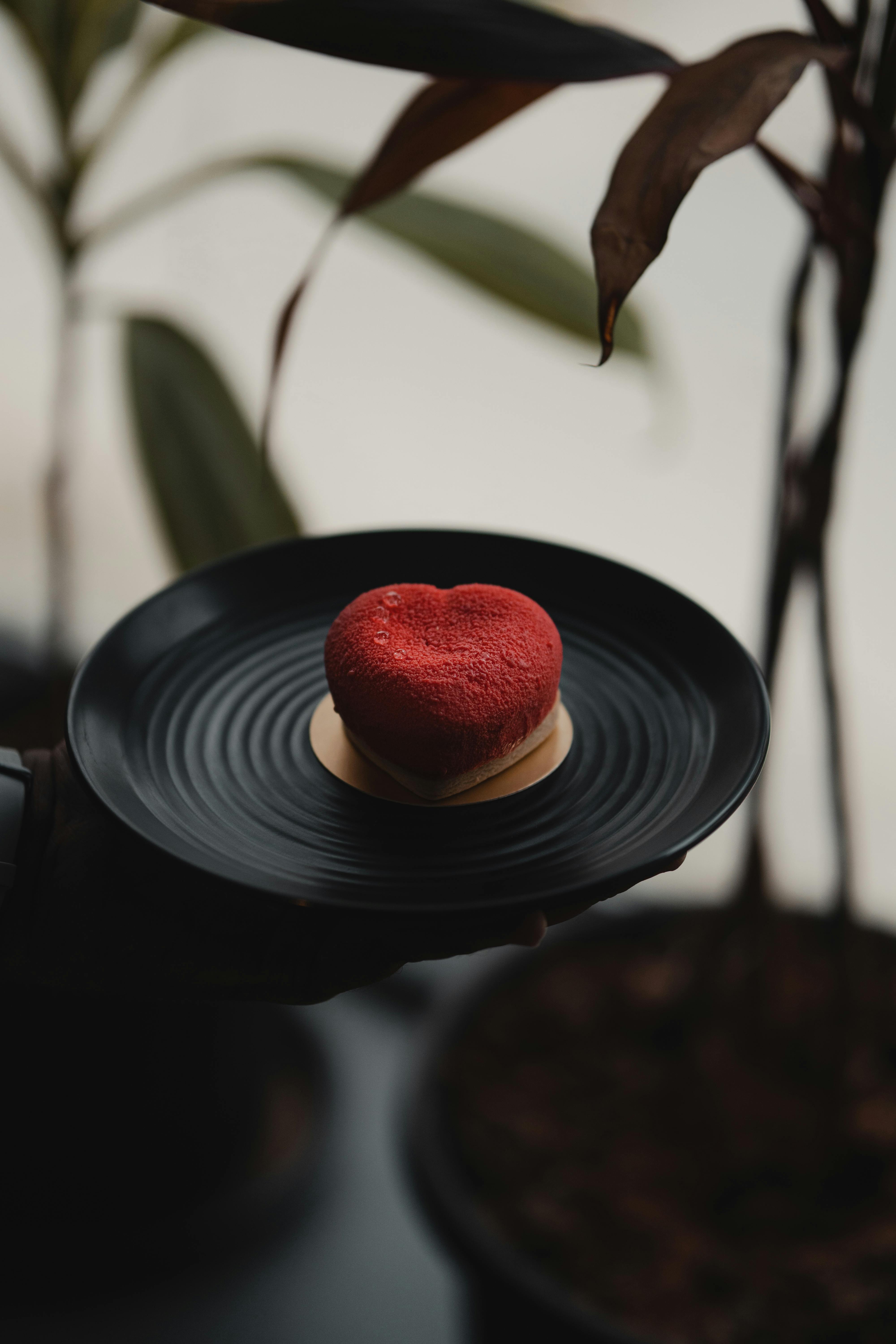 20,000+ Best Sweet Photos · 100% Free Download · Pexels Stock Photos