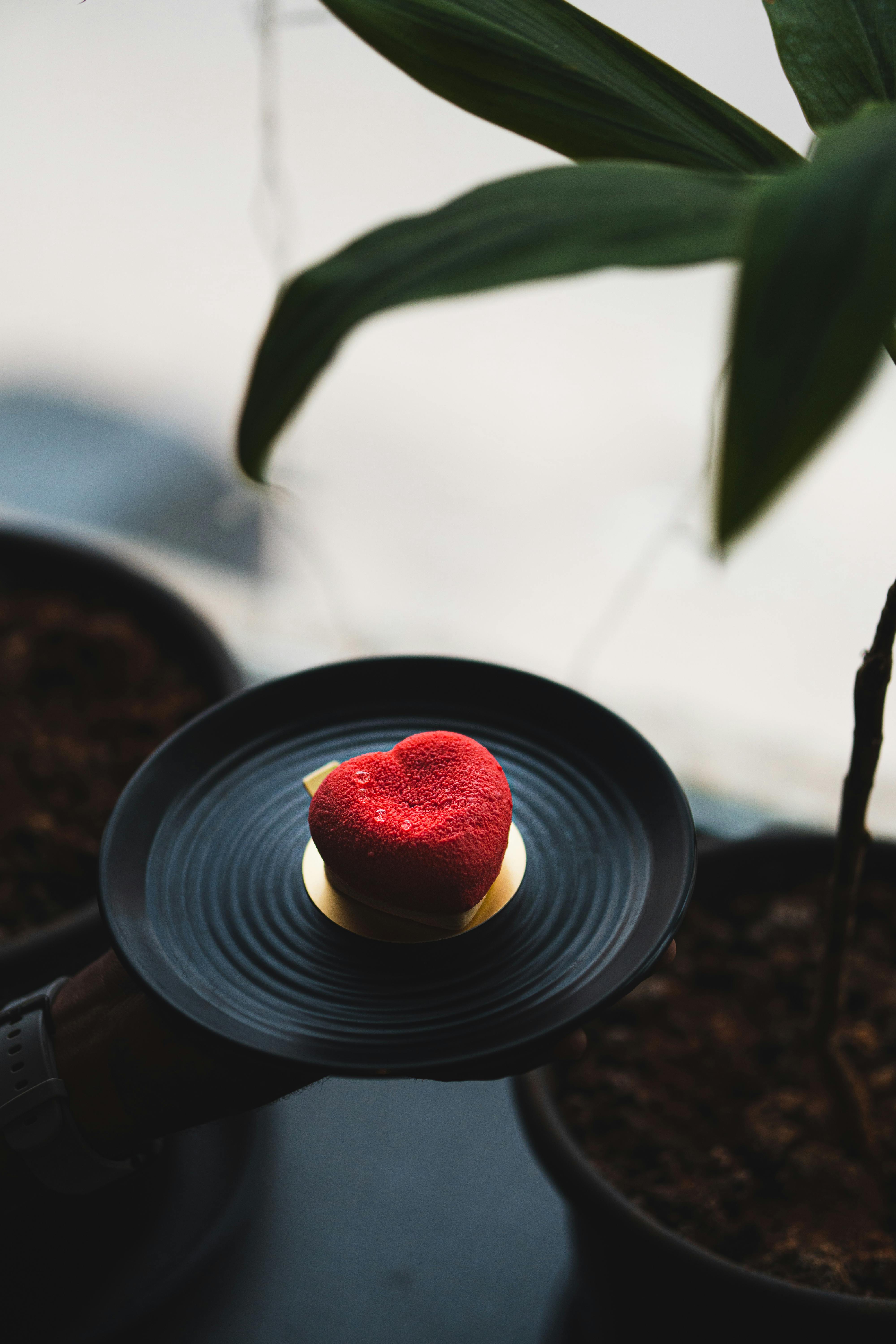 Chocolate and Vanilla Round Pastry · Free Stock Photo