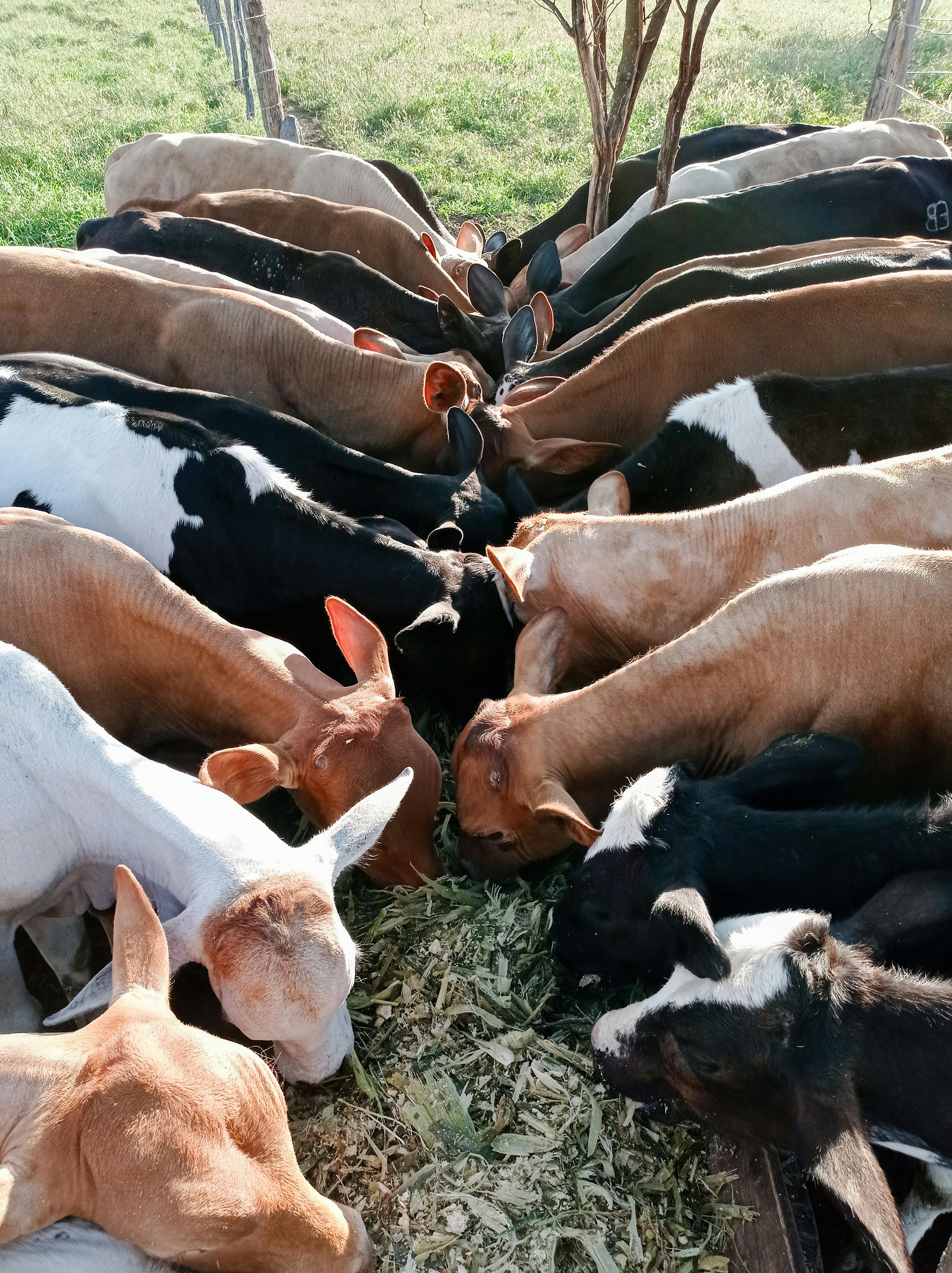 Troughs Photos, Download The BEST Free Troughs Stock Photos & HD Images