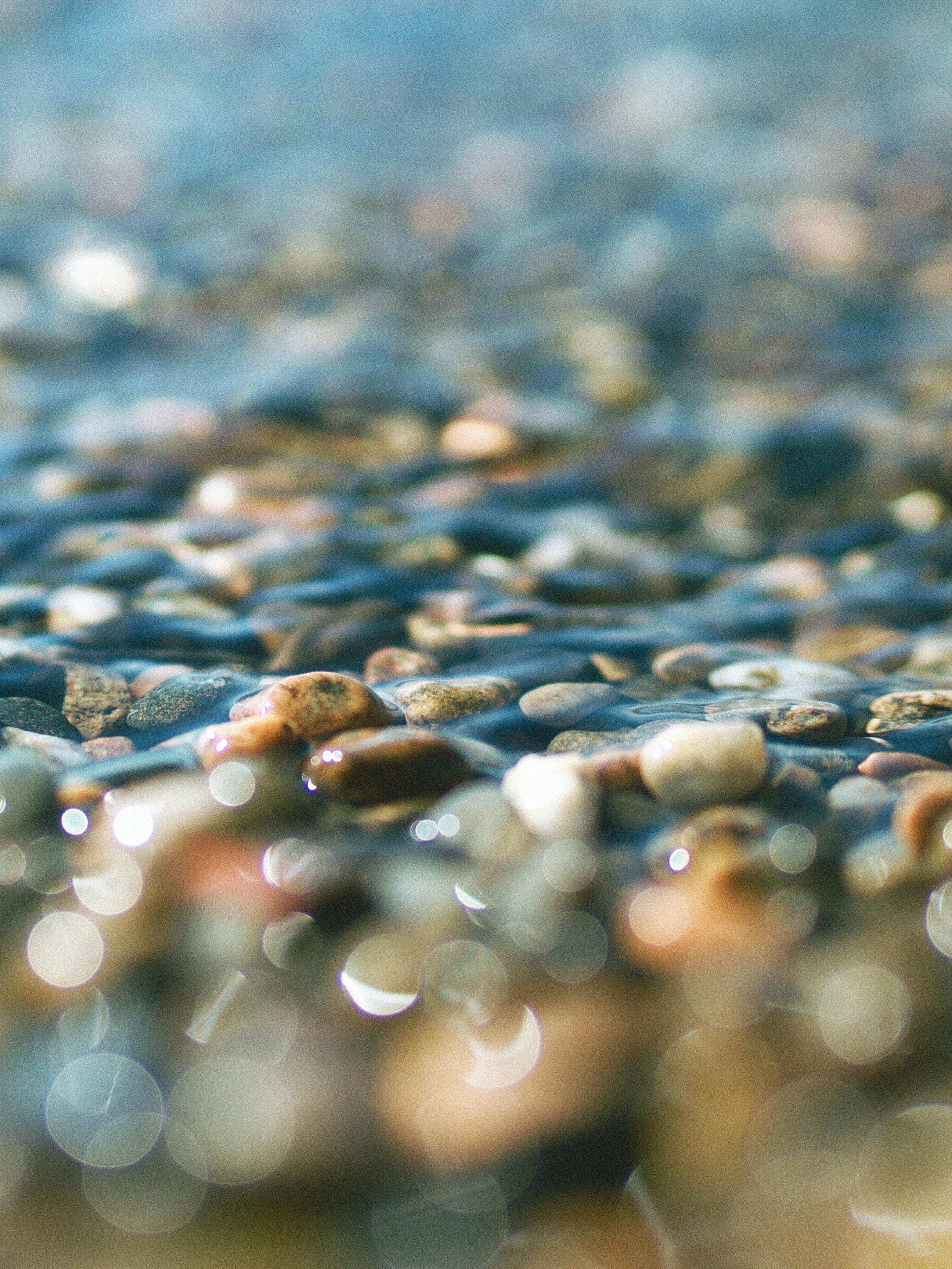 Close-up of Wet Rocks · Free Stock Photo