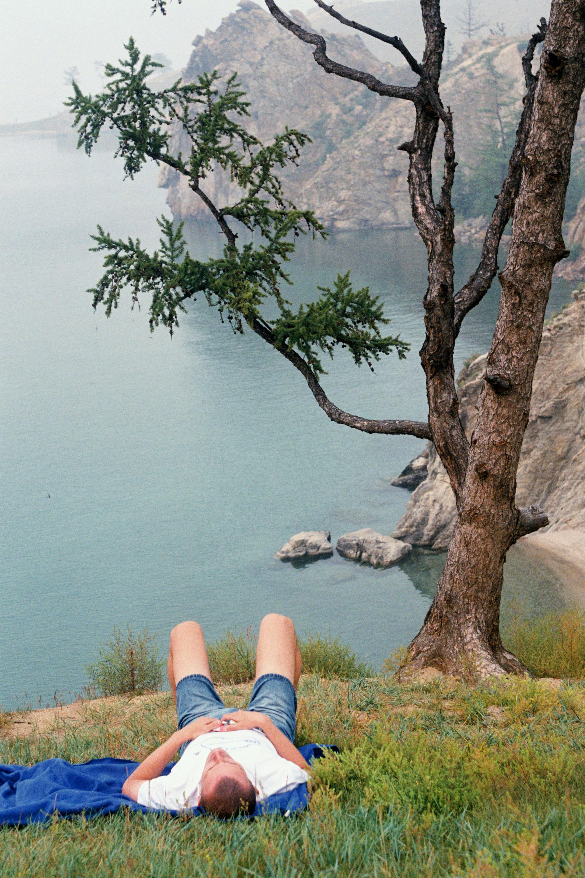 People Resting Under the Sakura Tree · Free Stock Photo