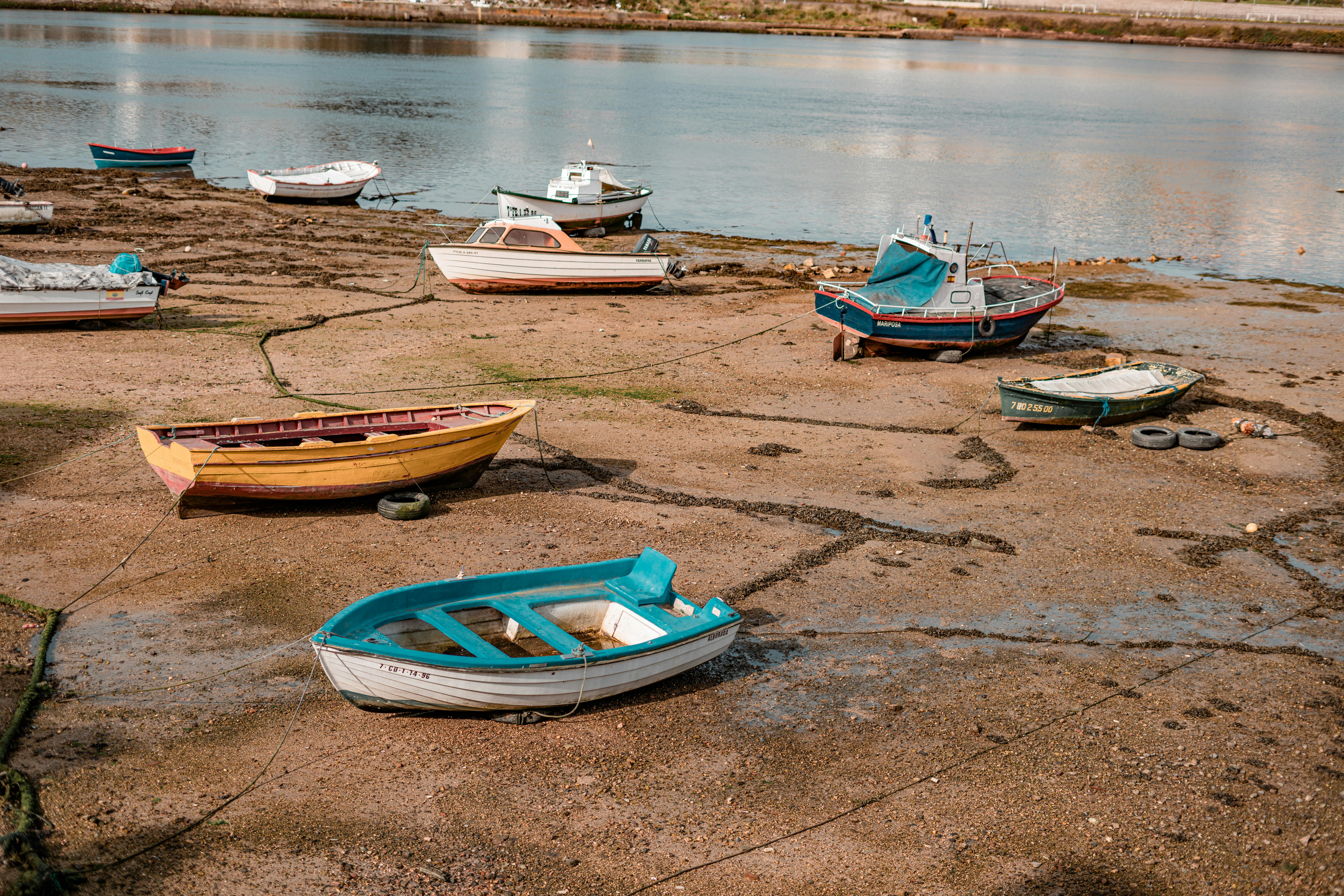 Boats on Shore · Free Stock Photo