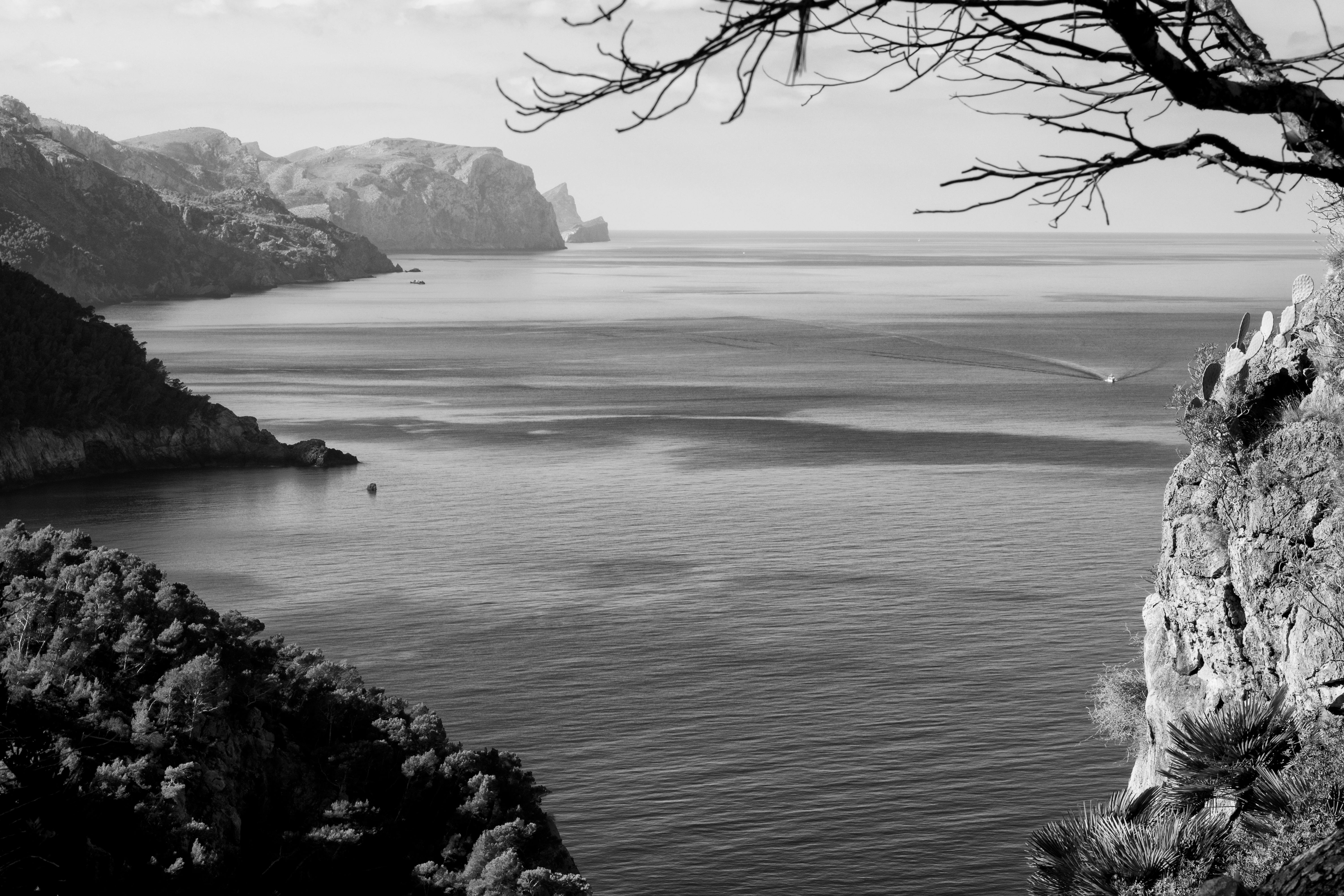 Grayscale Photography of Body of Water · Free Stock Photo