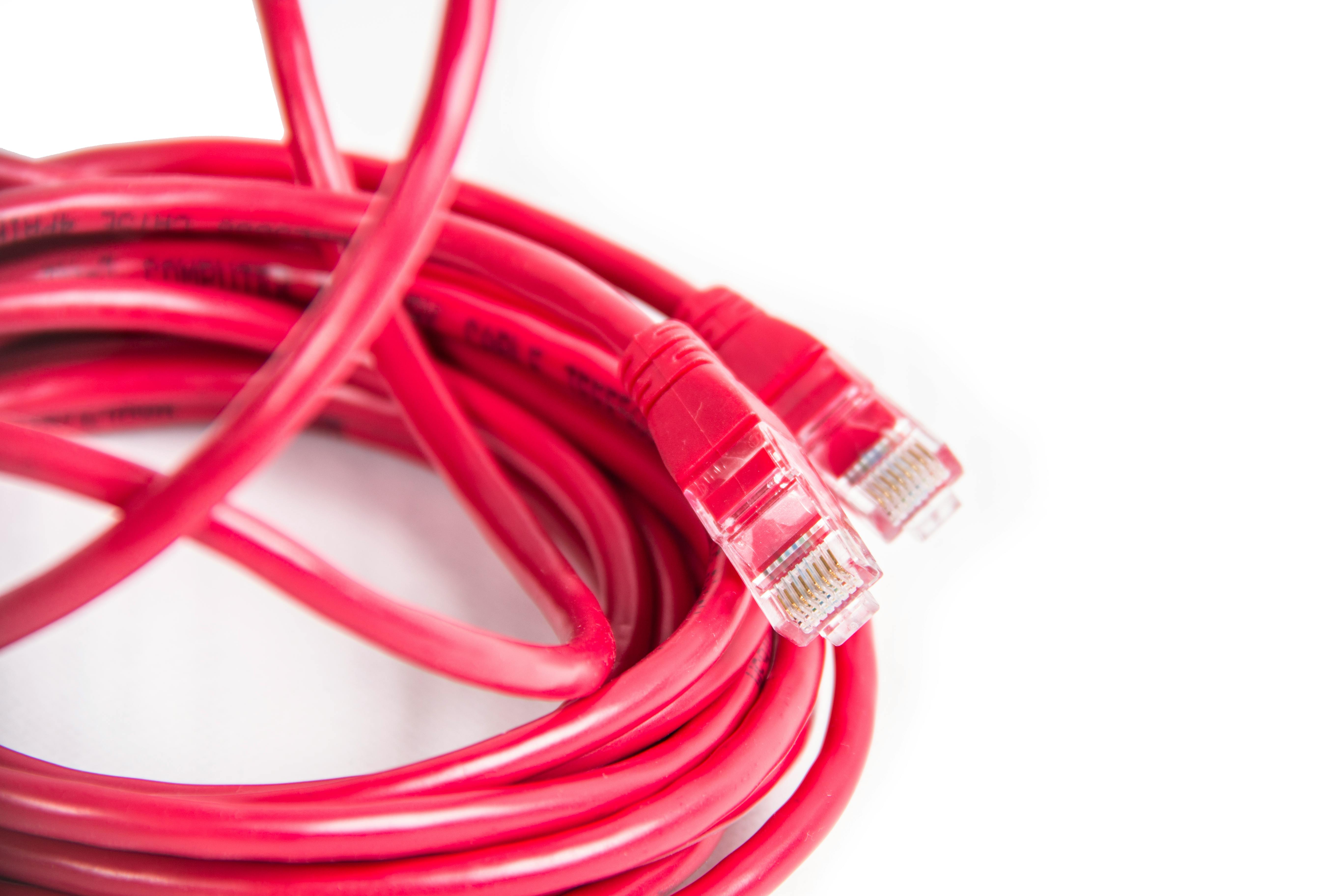 Free stock photo of ethernet cables, lan cable, lan cables