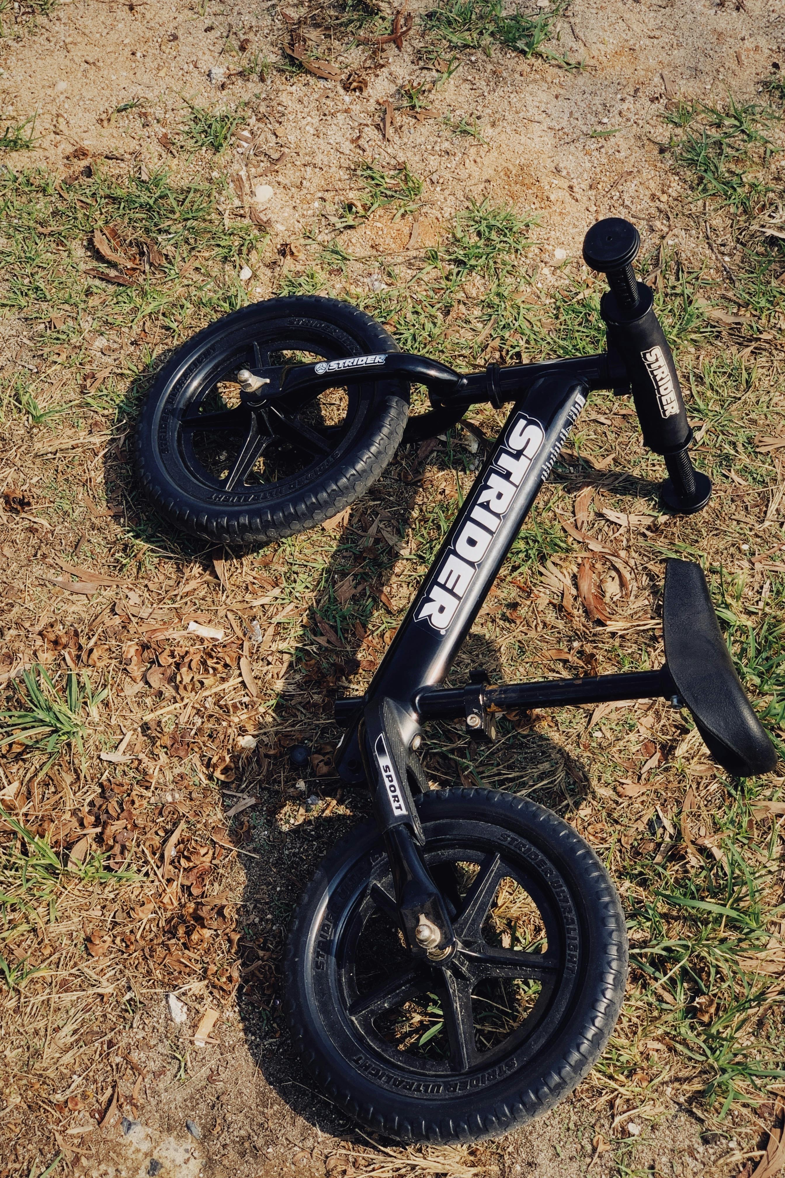 Strider Collien Photos, Download The BEST Free Strider Collien Stock ...