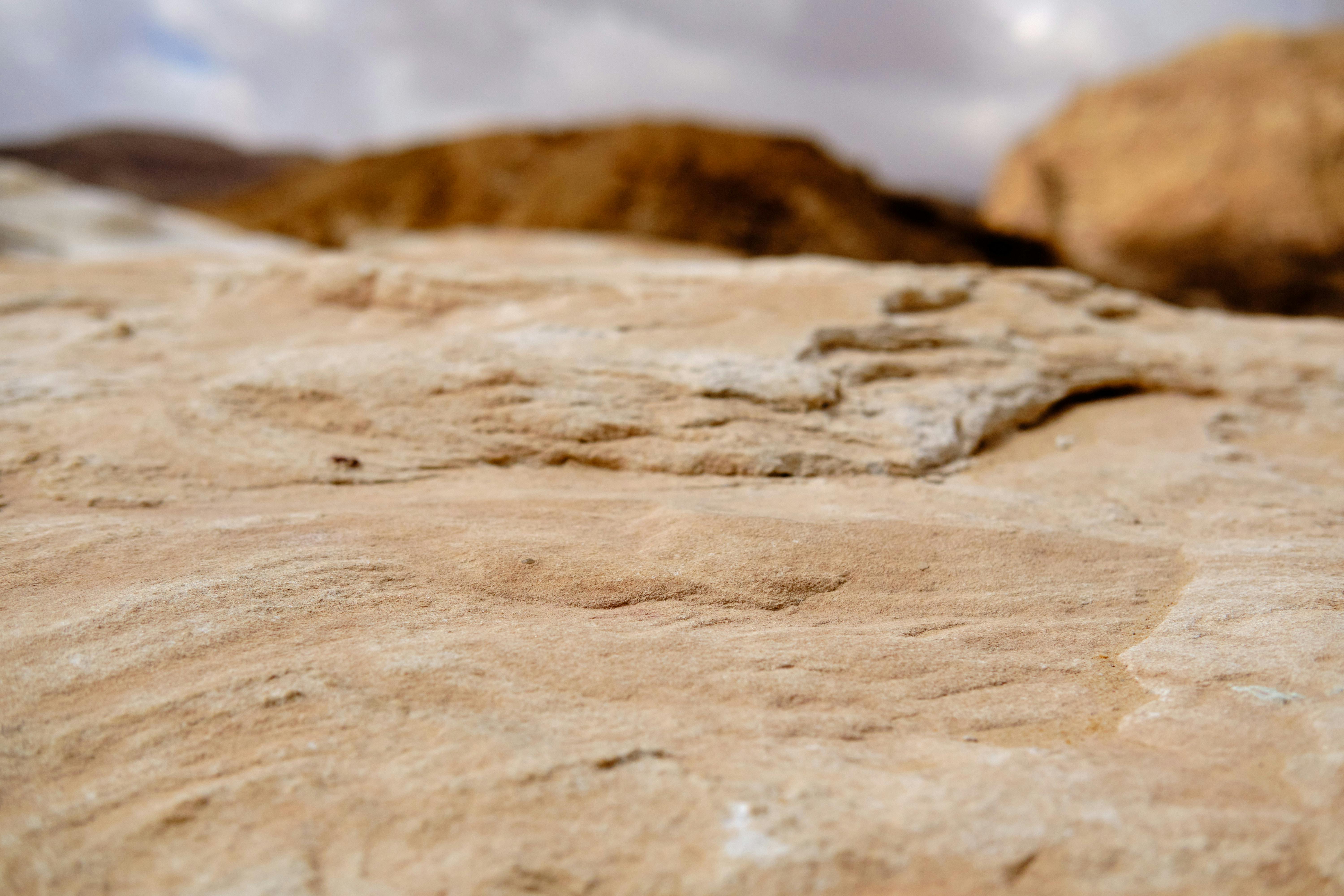 Rough Sandstone Surface · Free Stock Photo