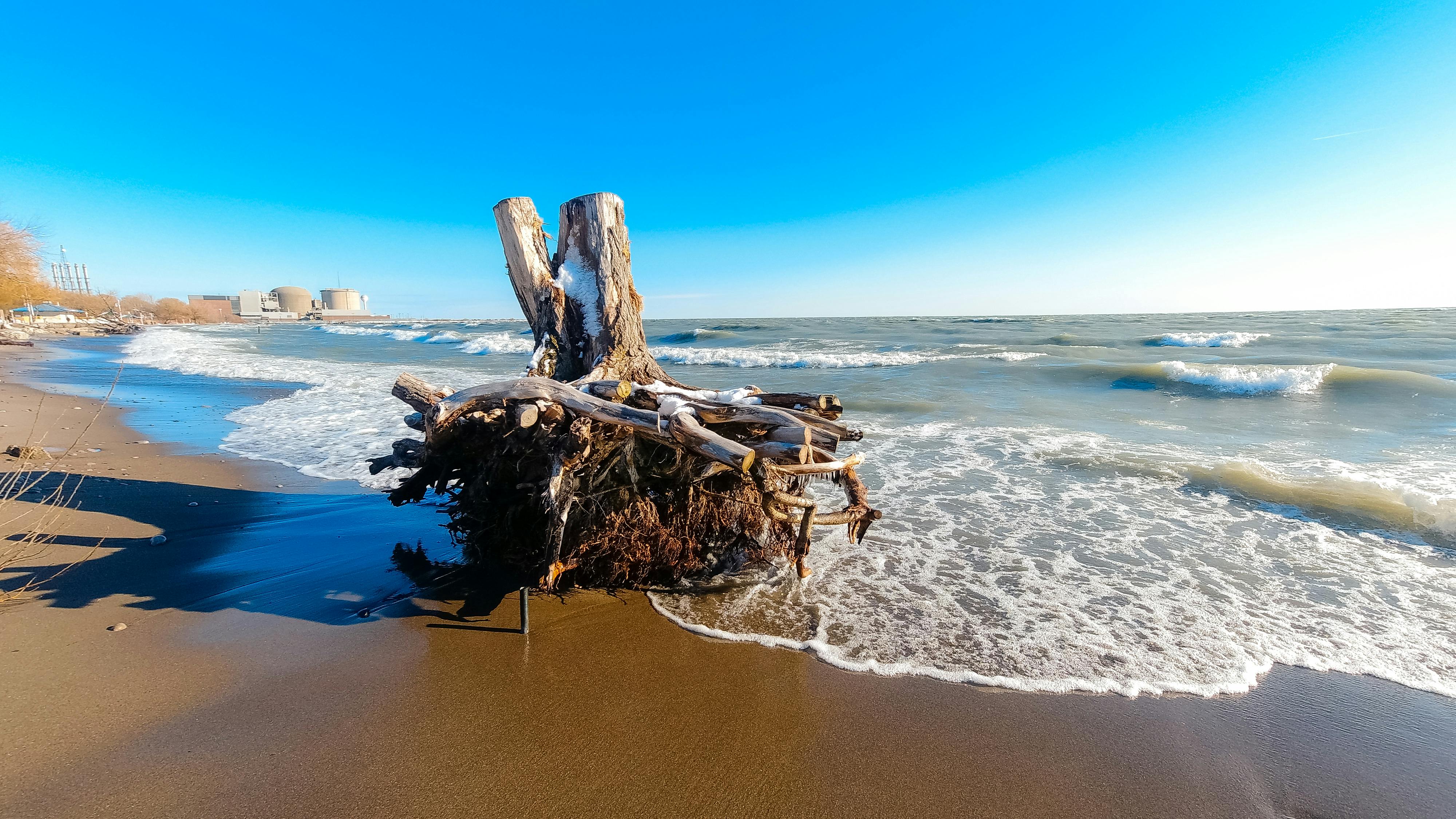 Shonti - Fotografía