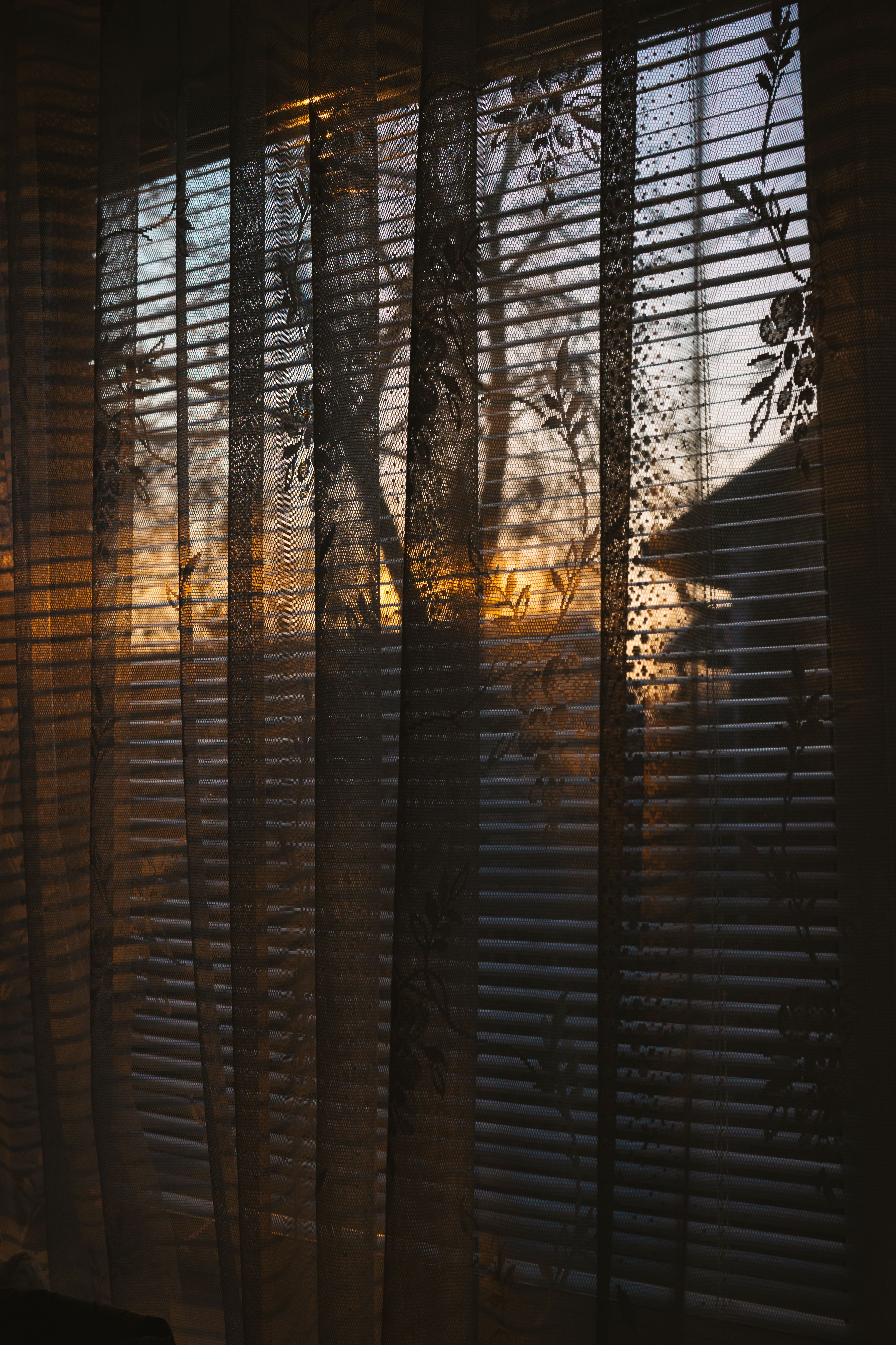 Curtain and Shutter at Sunset · Free Stock Photo
