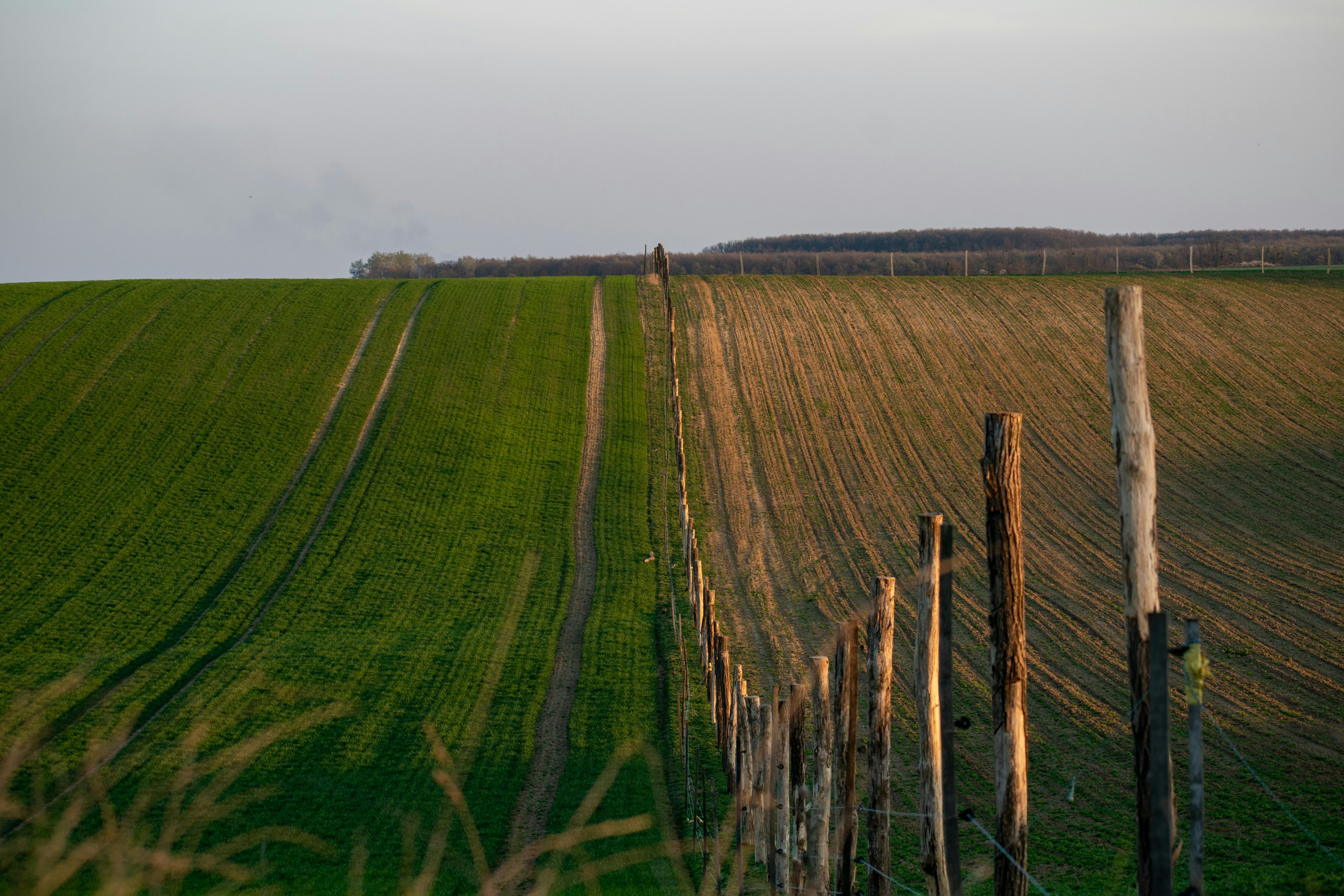 Spatial Division Photos, Download The BEST Free Spatial Division Stock ...