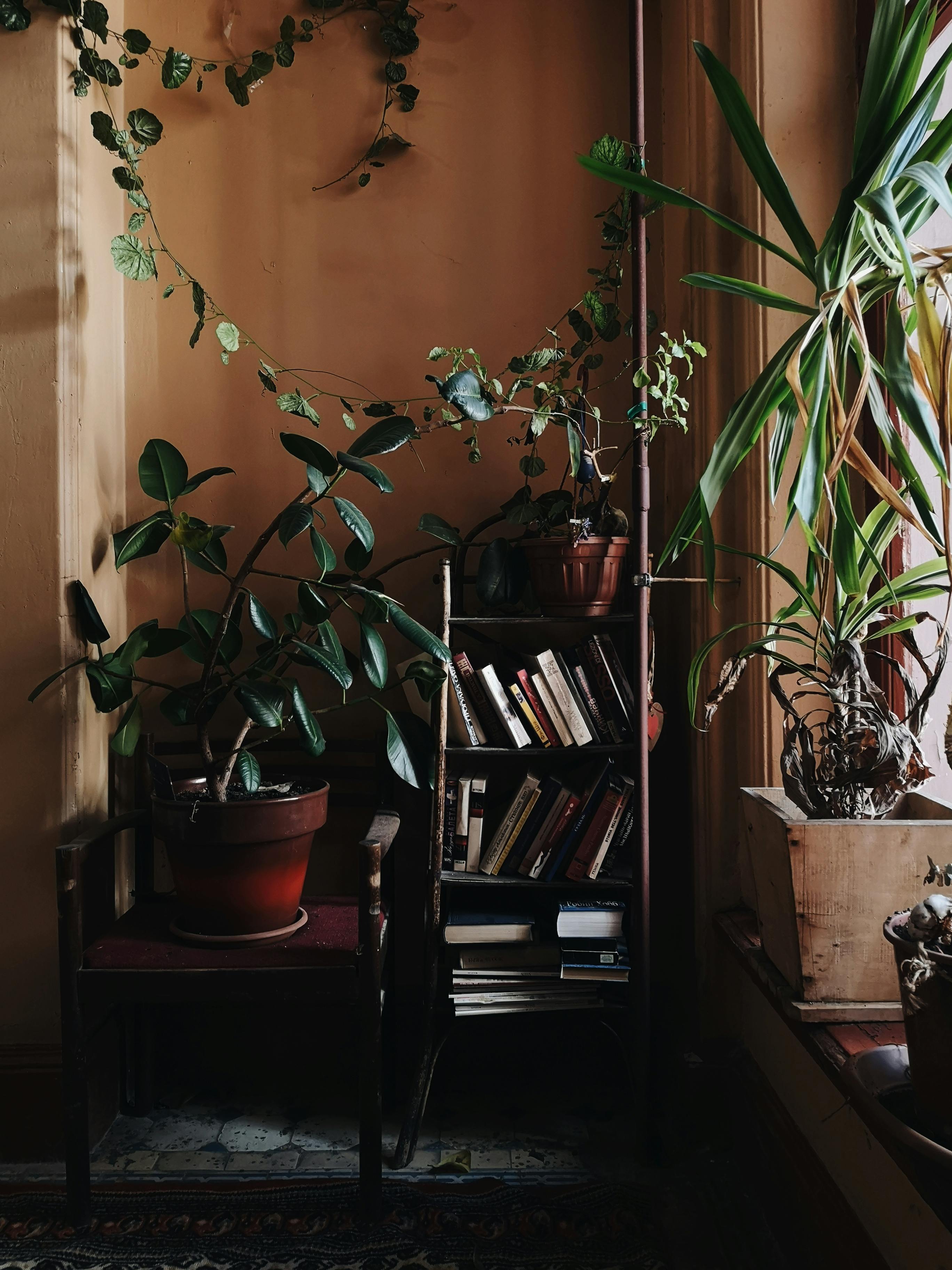 Small Library Photos, Download The BEST Free Small Library Stock Photos ...