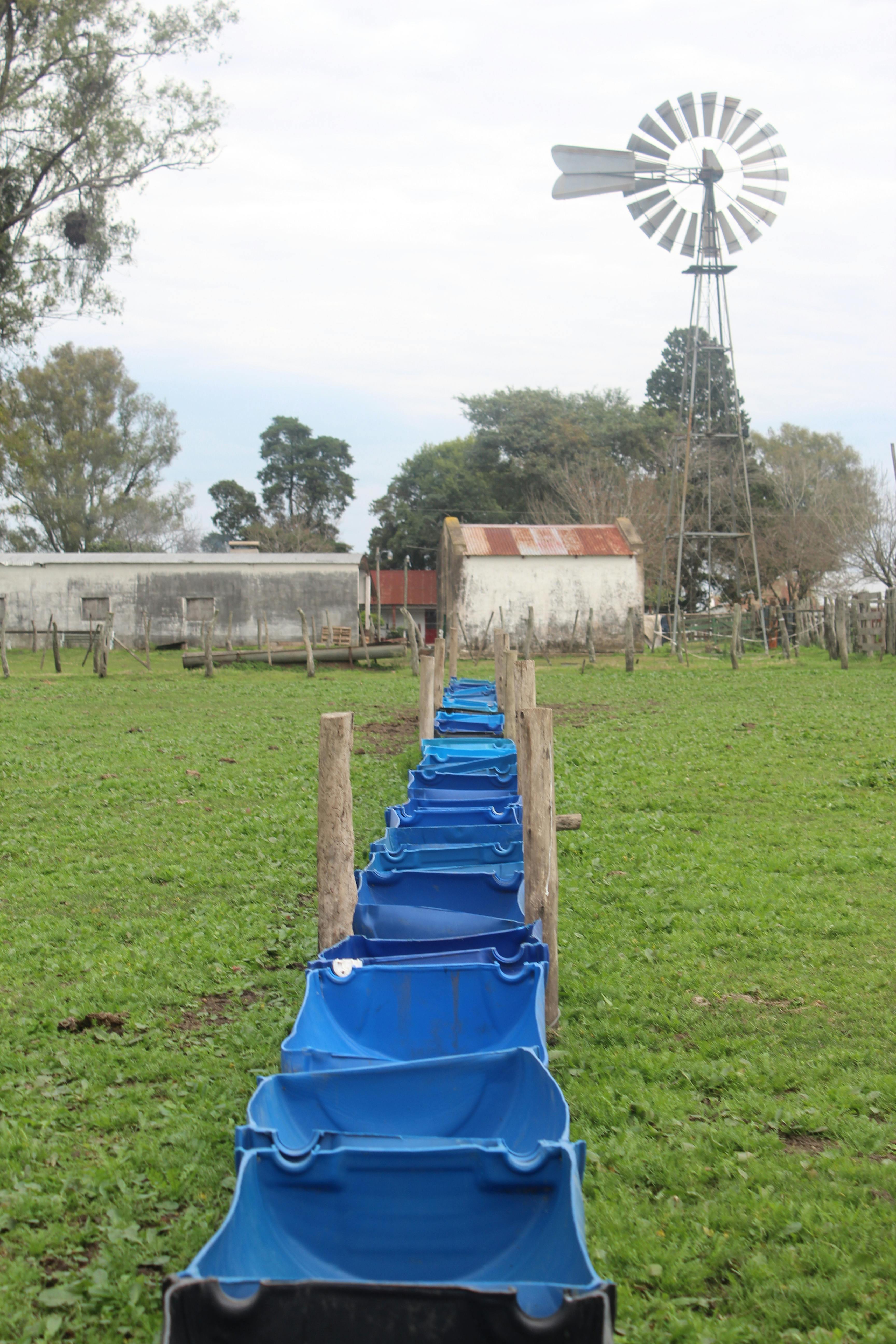 Barn Basin Photos, Download The BEST Free Barn Basin Stock Photos & HD ...