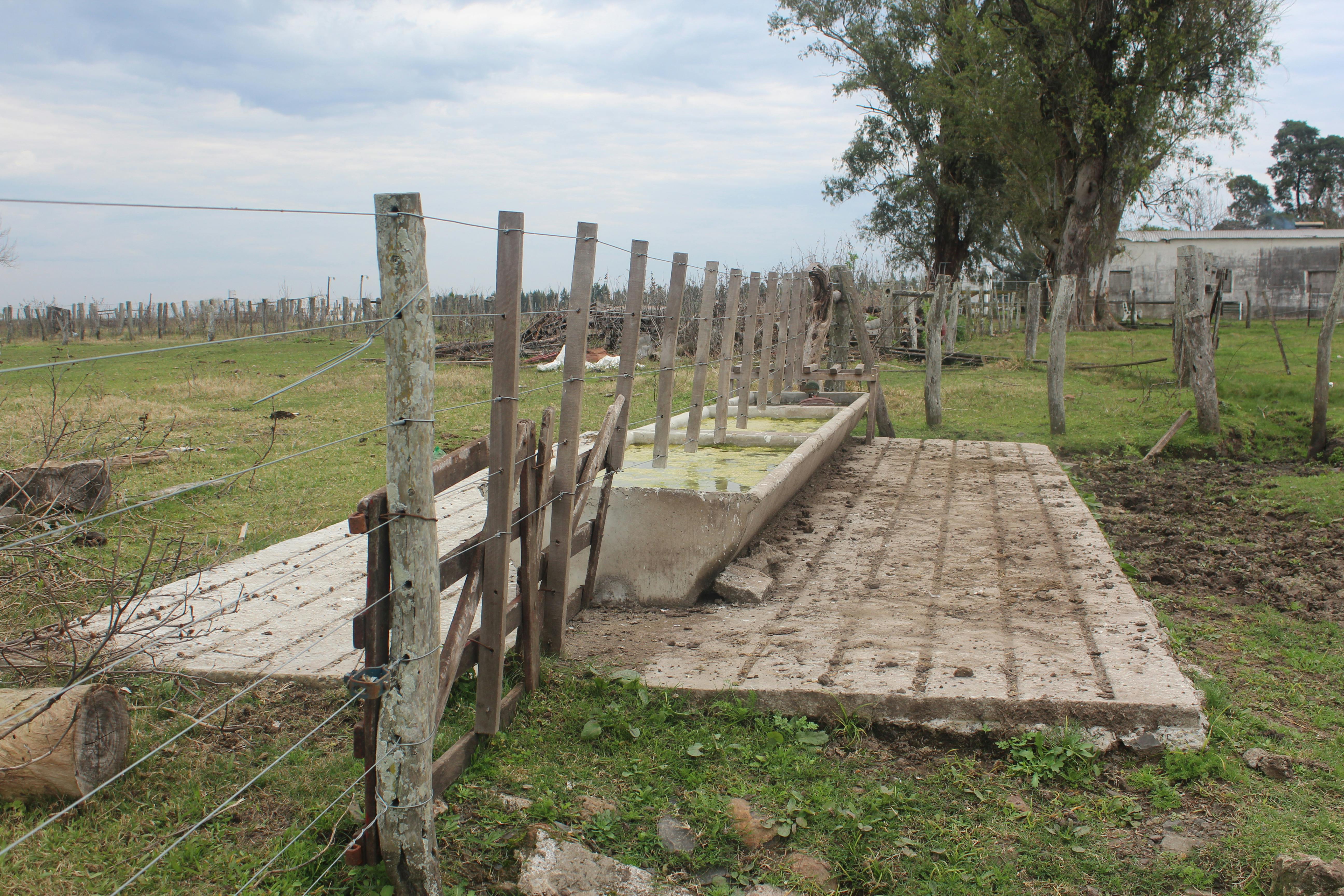 A Concrete Water Trough · Free Stock Photo