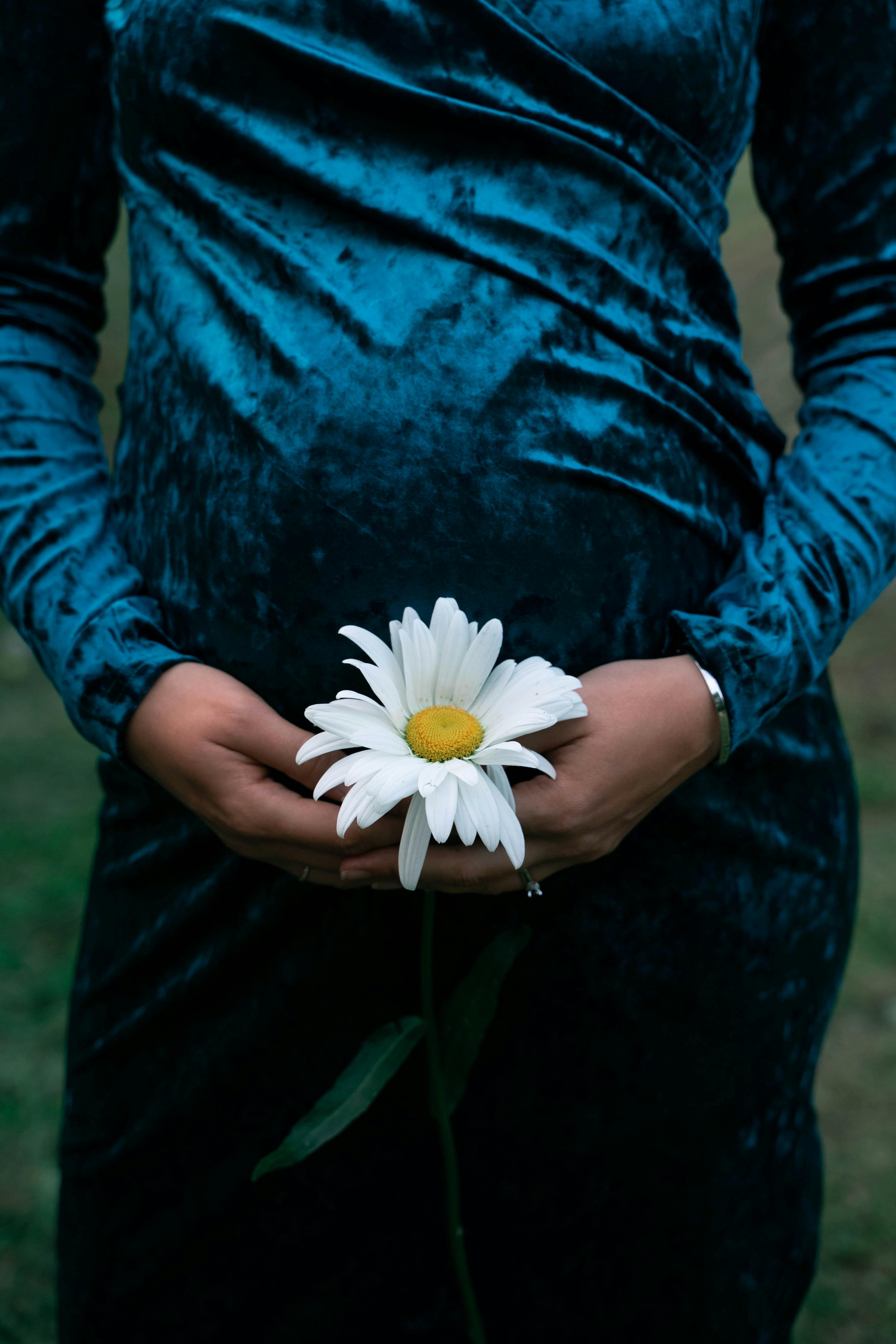 Blue Velvet Photos, Download The BEST Free Blue Velvet Stock Photos ...