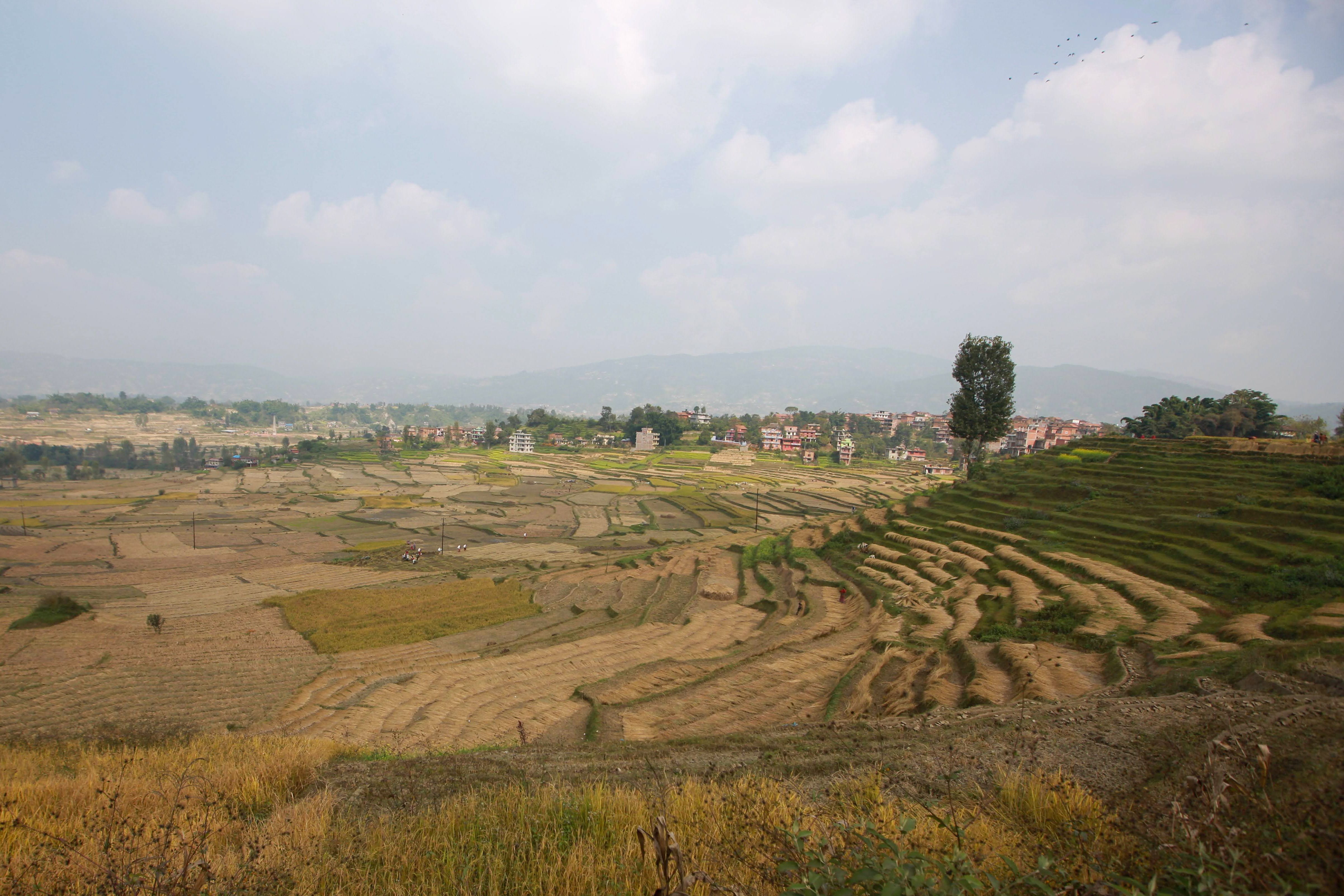 Photo of a Farmland · Free Stock Photo