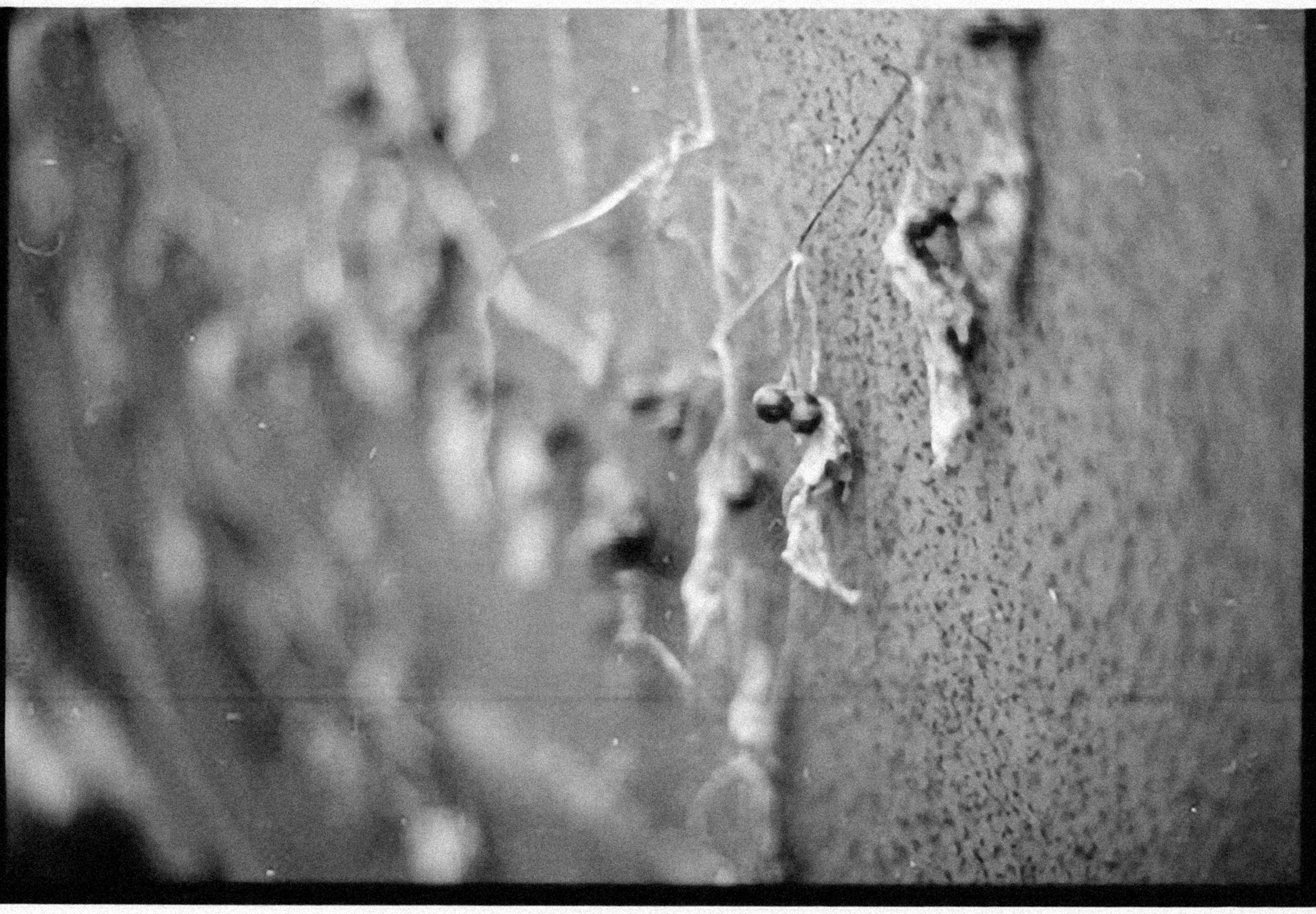 Grain Effect Background Photos, Download The BEST Free Grain Effect ...