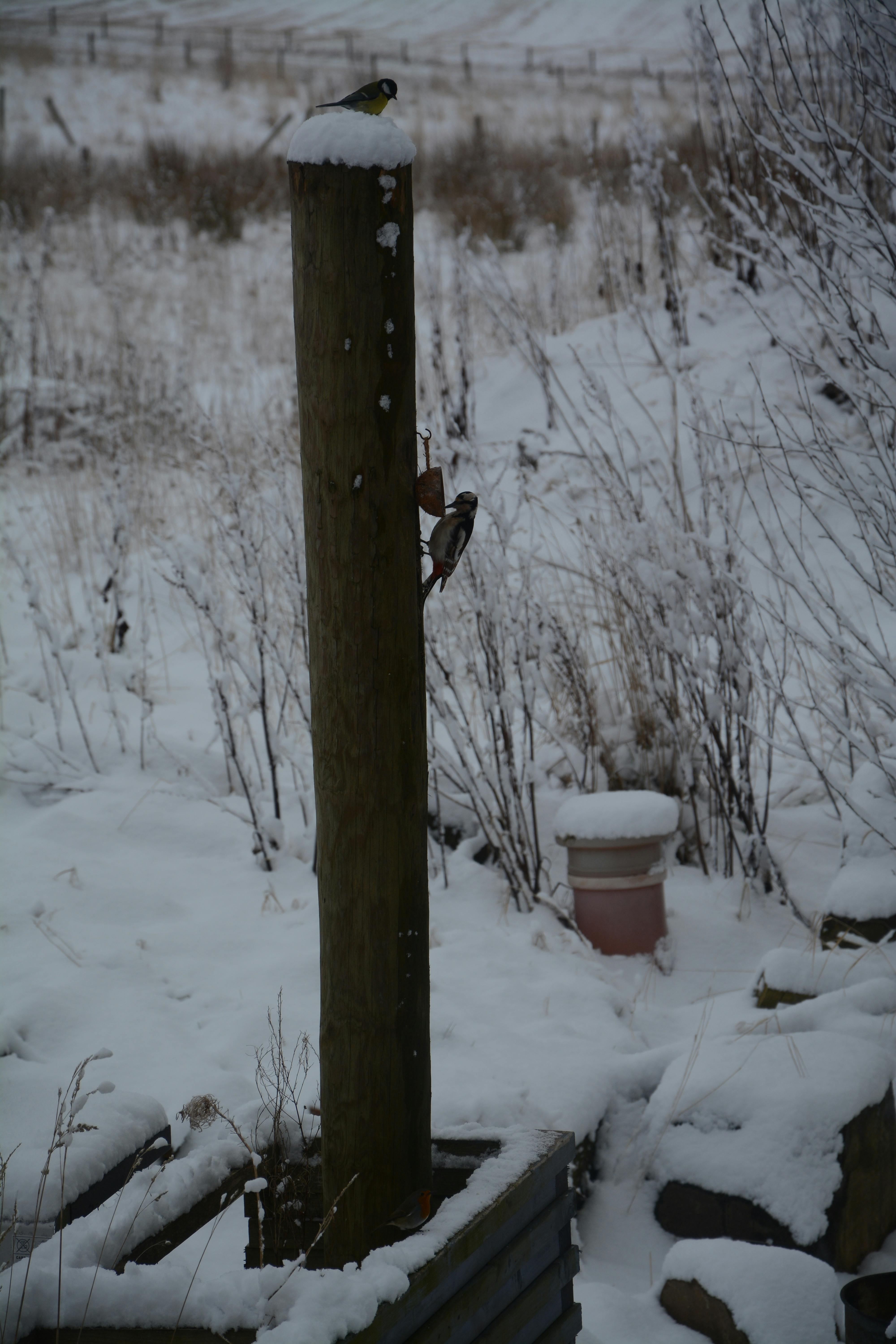 Alex Jackson - Photography