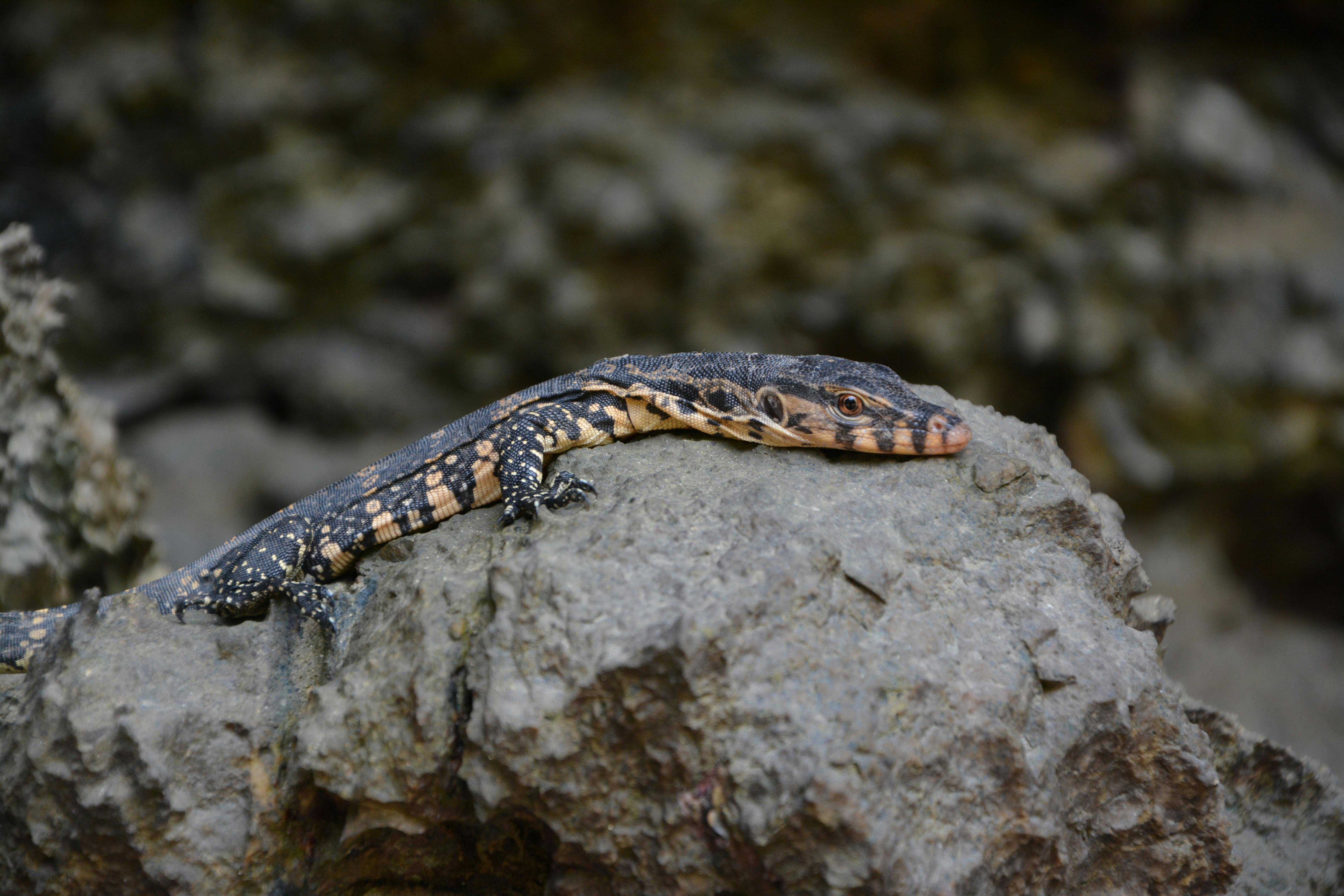 Alex Jackson - Photography