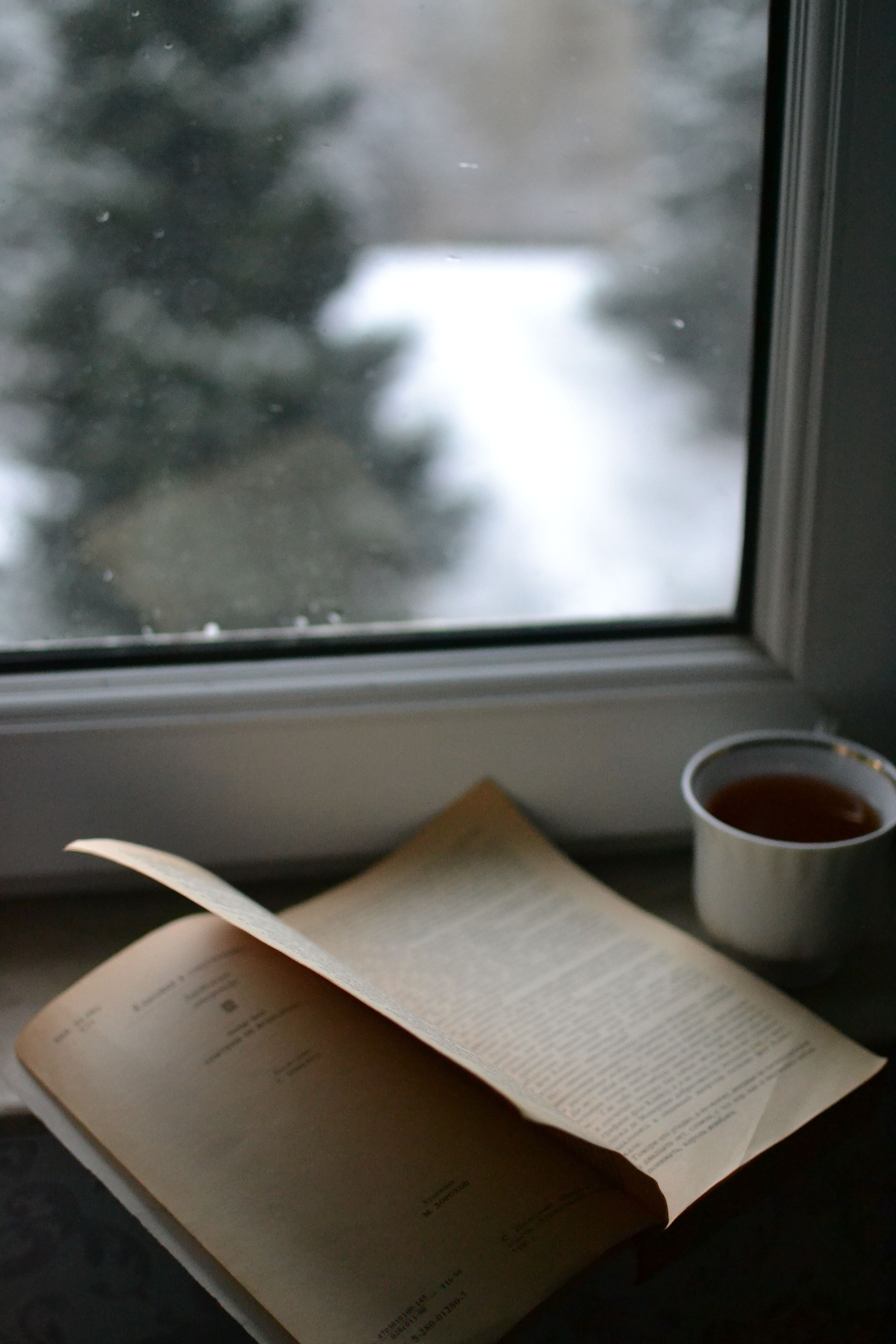 Photography of Book Page · Free Stock Photo