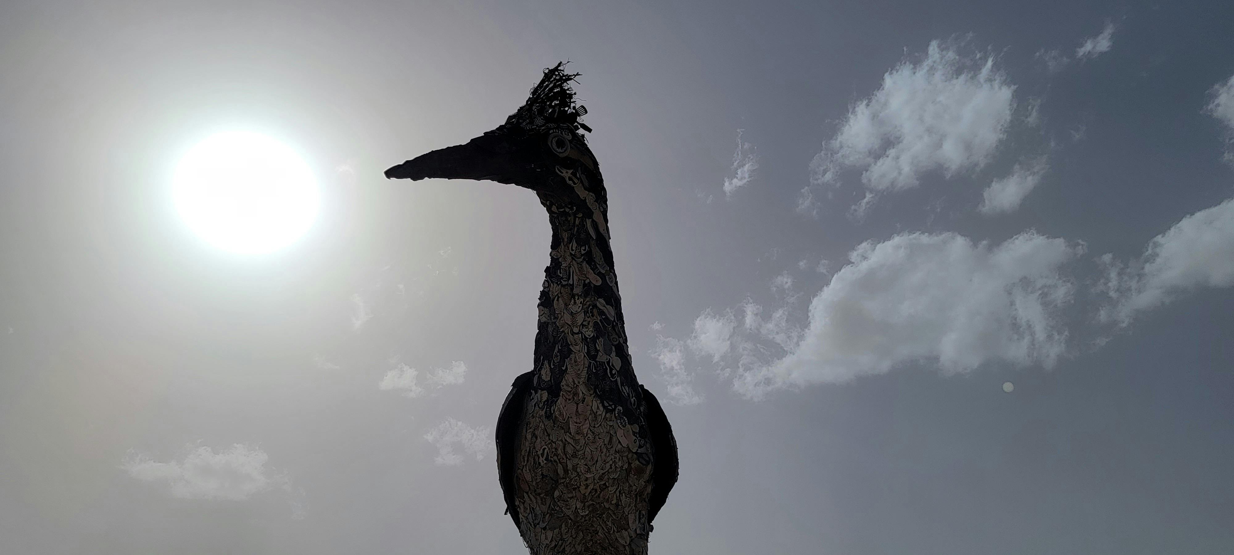 LAS Cruces Road Runner 10 Photos & Videos Collected by Peter Sisco