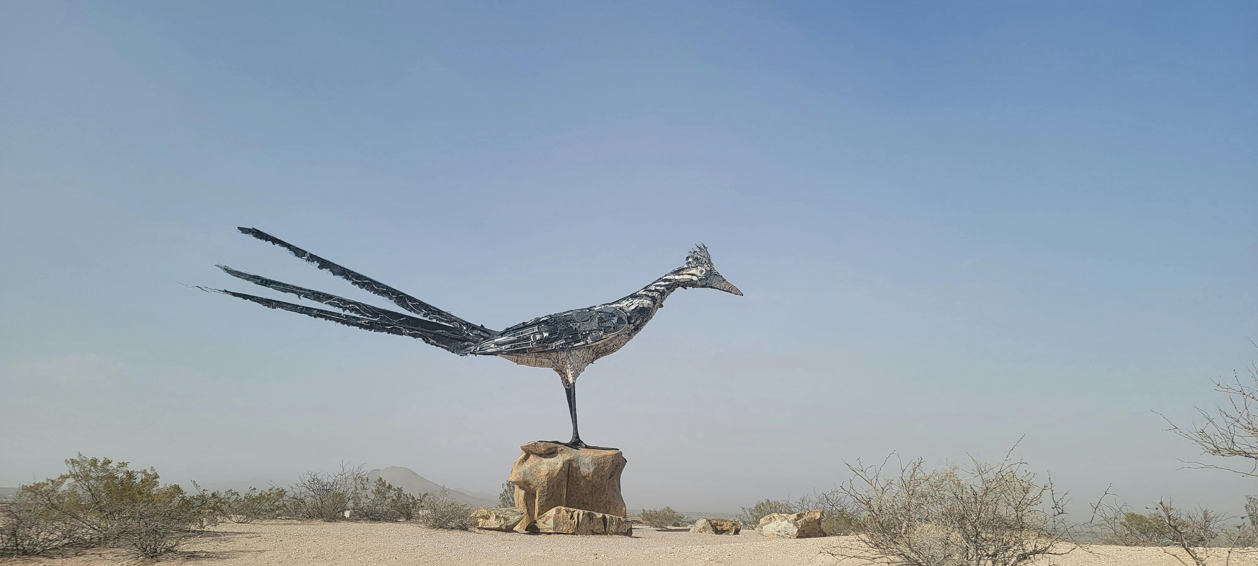 LAS Cruces Road Runner 10 Photos & Videos Collected by Peter Sisco