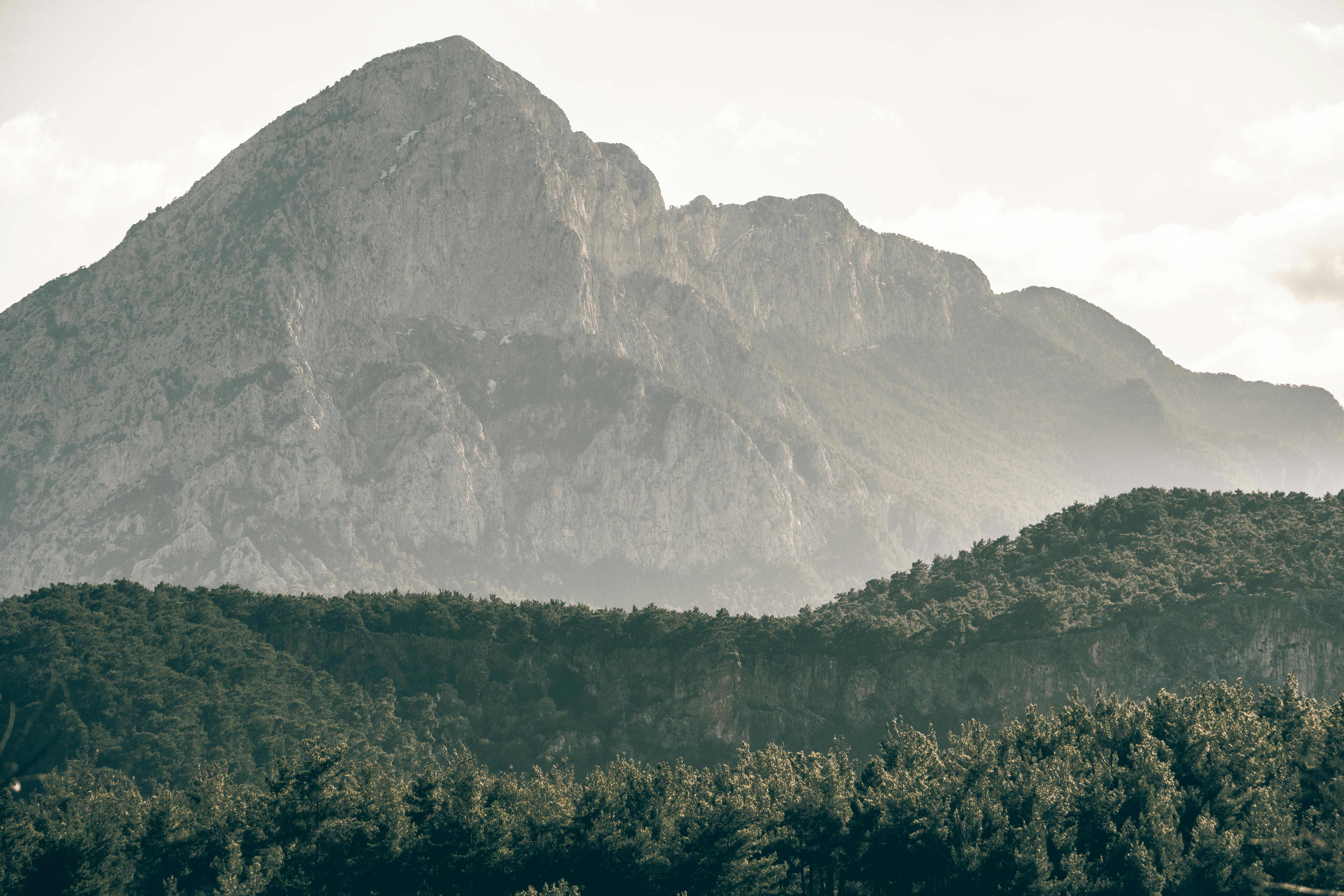 Mountains Behind the Forest · Free Stock Photo