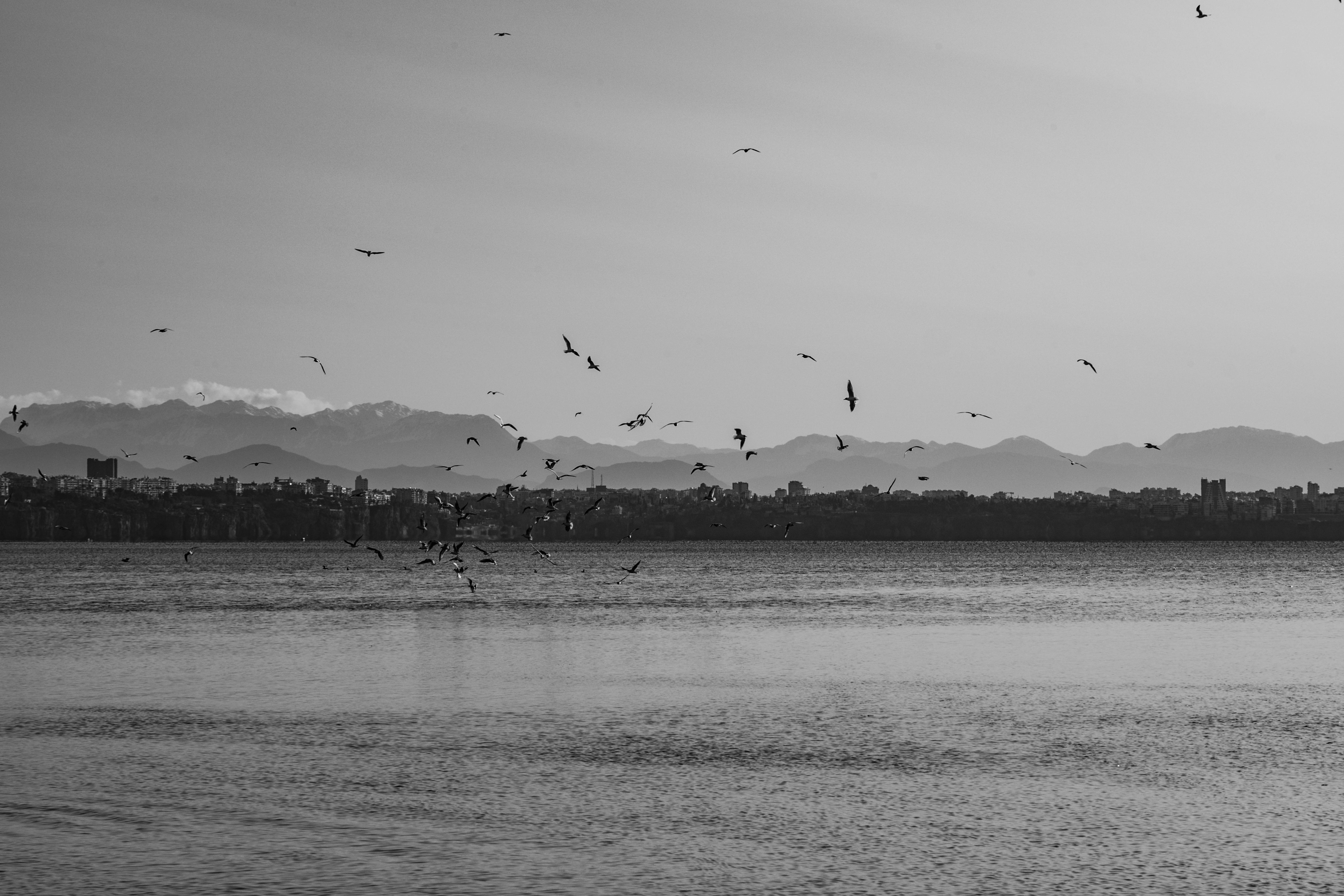 Animation City Wallpaper Photos, Download The BEST Free Animation City ...