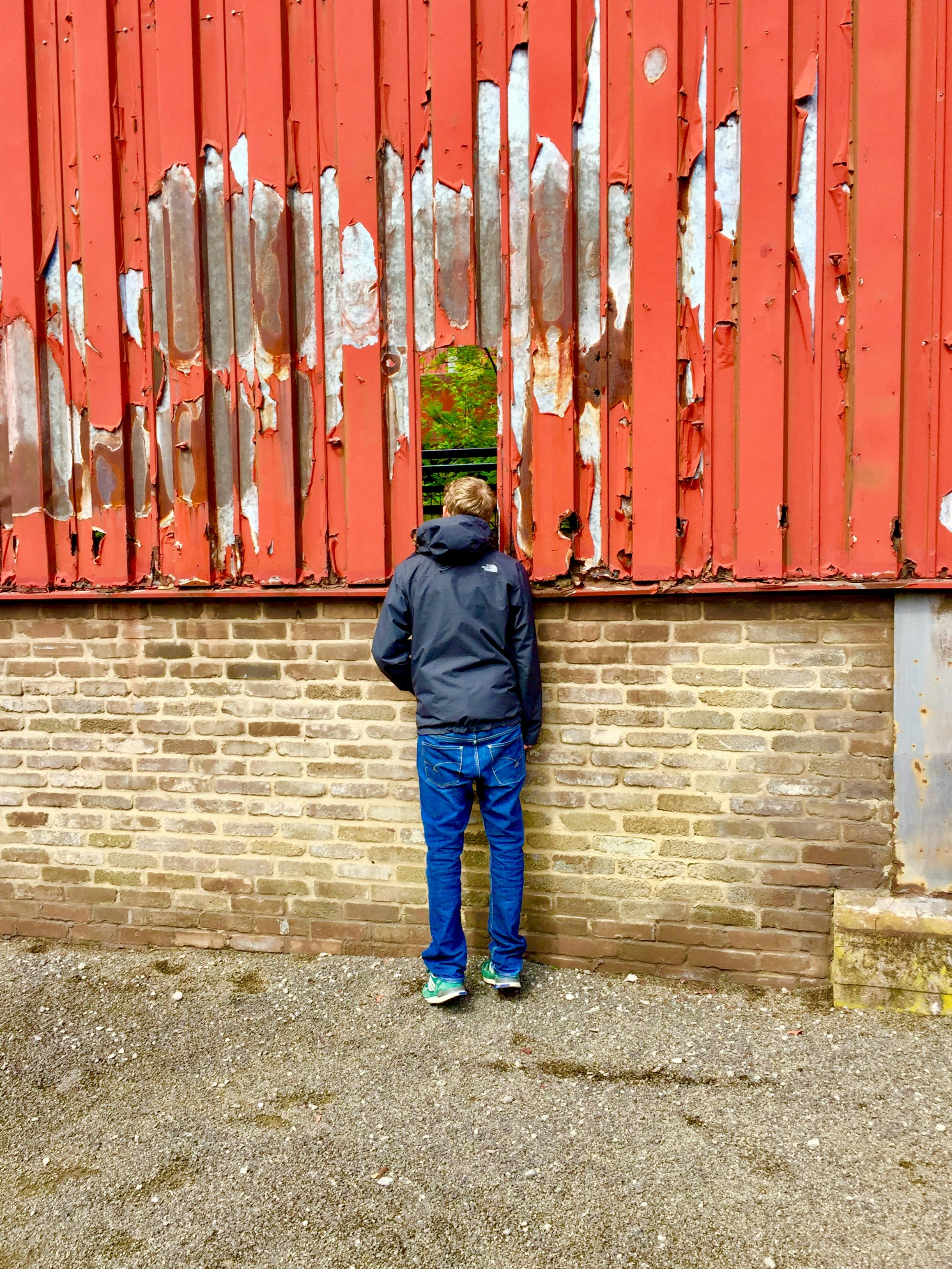 Man Looking Over the Broken Fence · Free Stock Photo