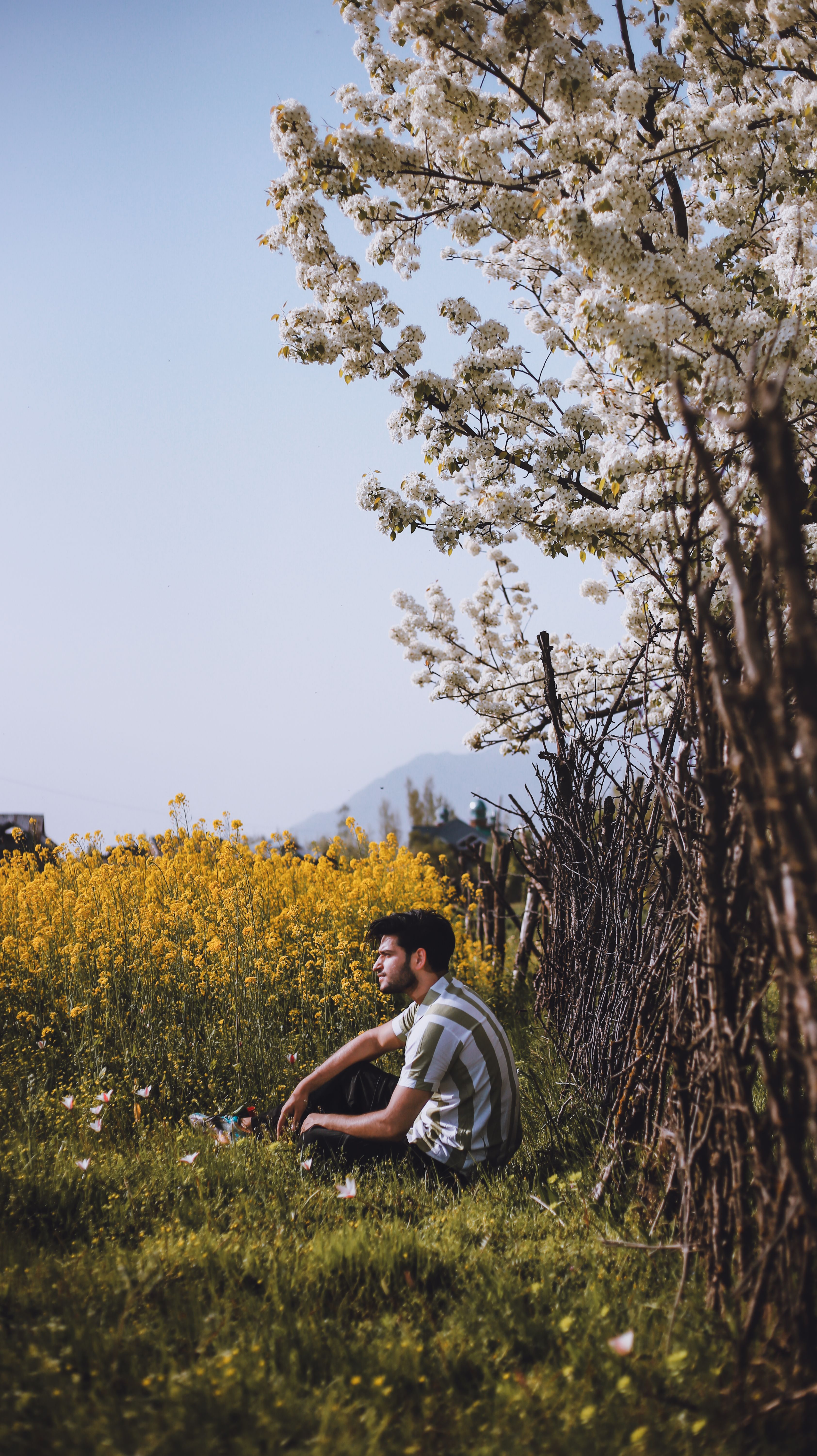 Young Man Sitting on a Field · Free Stock Photo