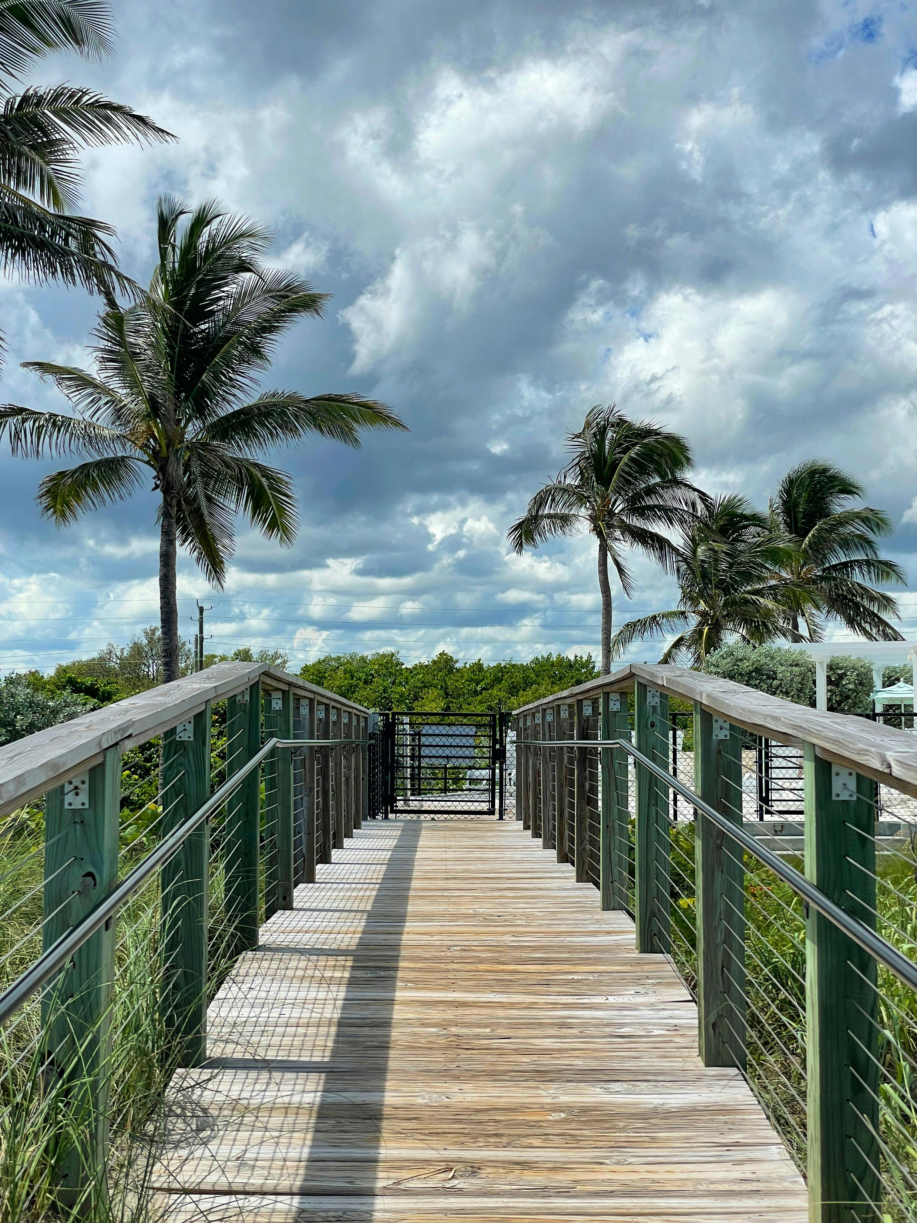 80,000+ Best Florida Beach Photos · 100% Free Download · Pexels Stock ...