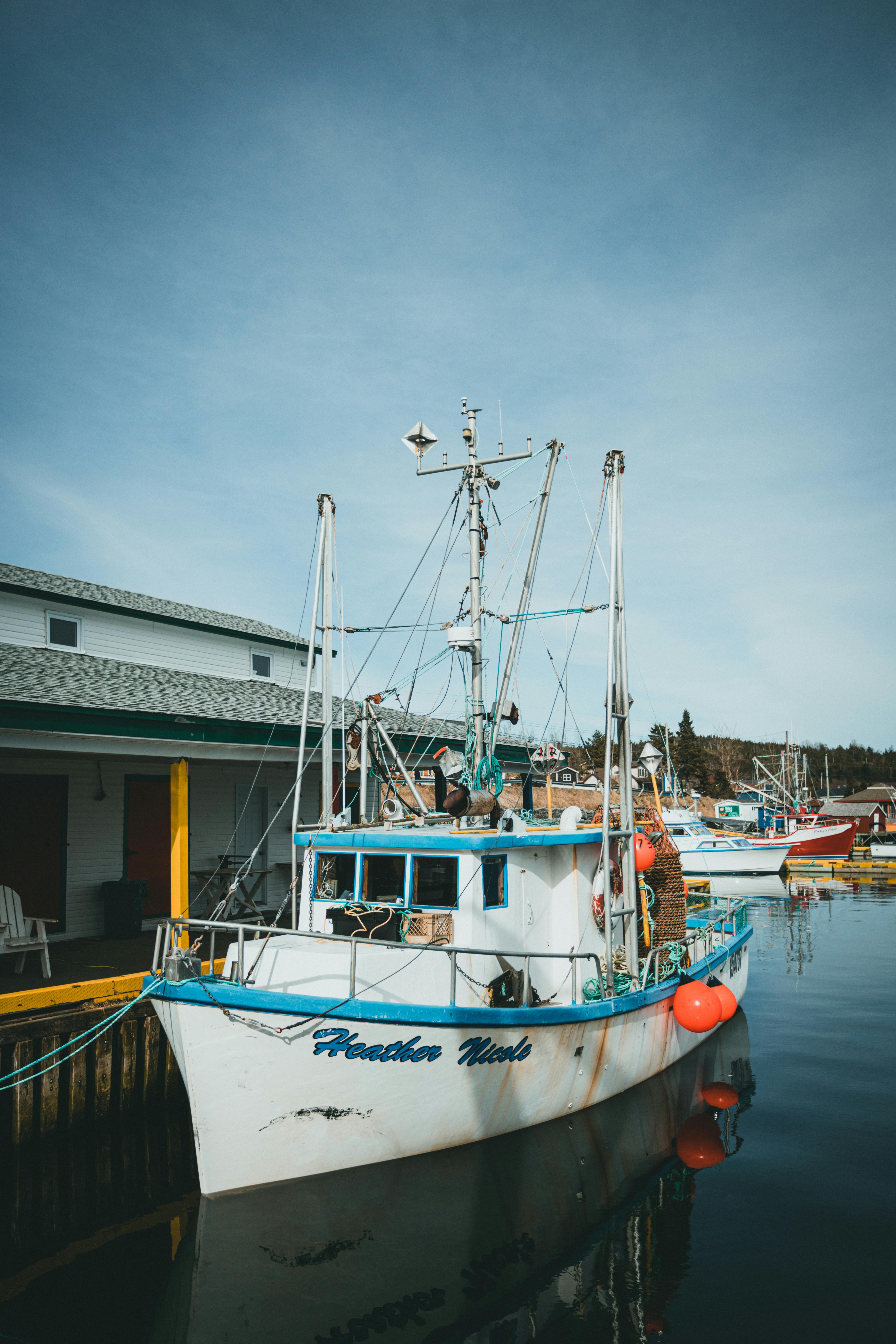 Wooden Boardwalk and Docking Area Overlooking a City at Night · Free ...