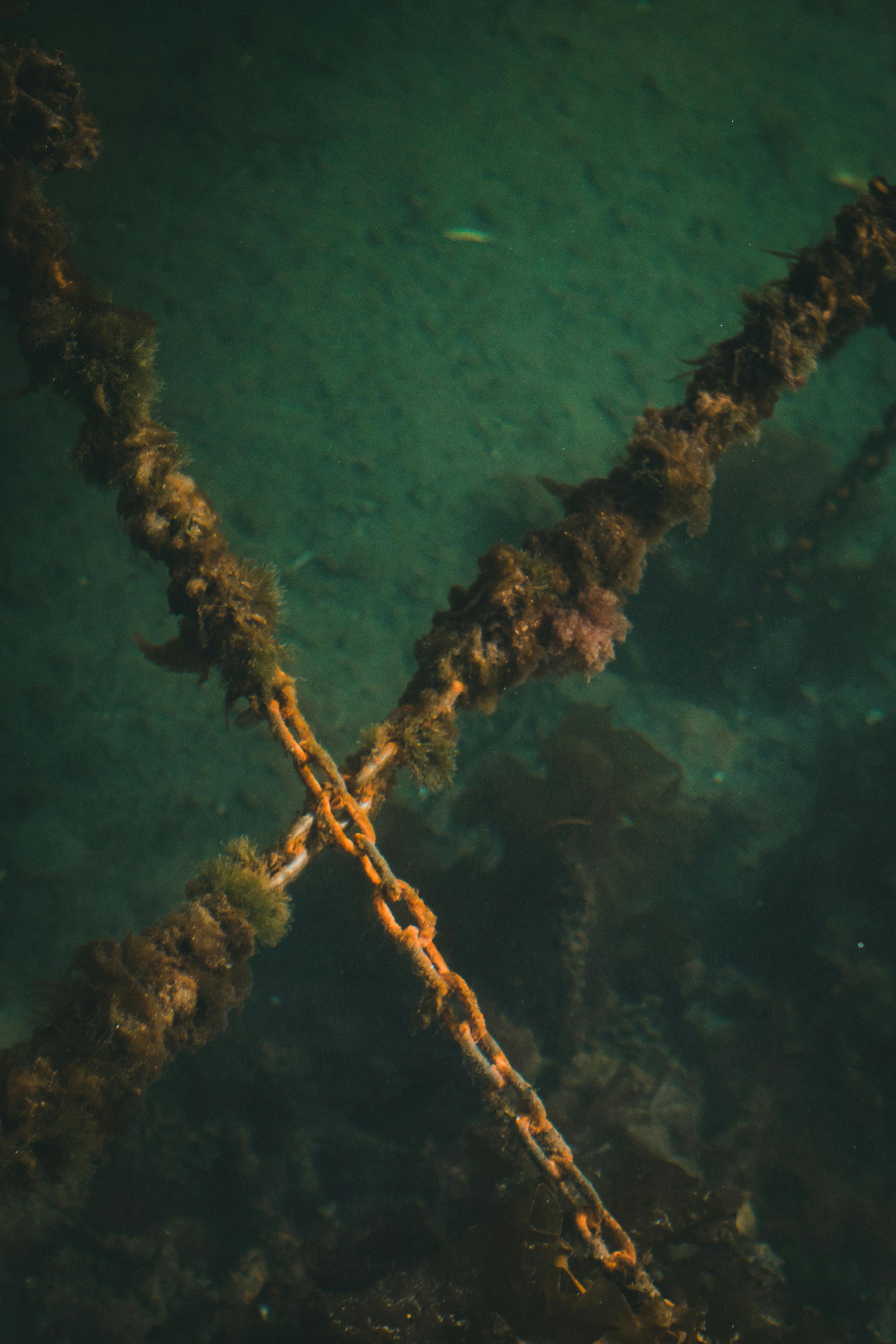 Underwater Chain Photos, Download The BEST Free Underwater Chain Stock ...