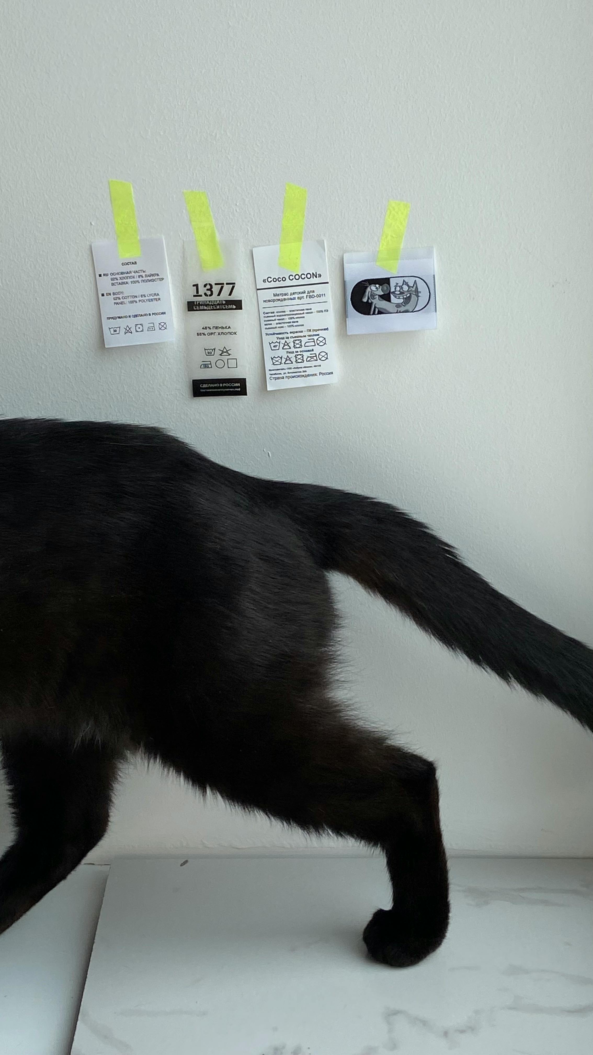 Anime Back Photos, Download The BEST Free Anime Back Stock Photos & HD ...