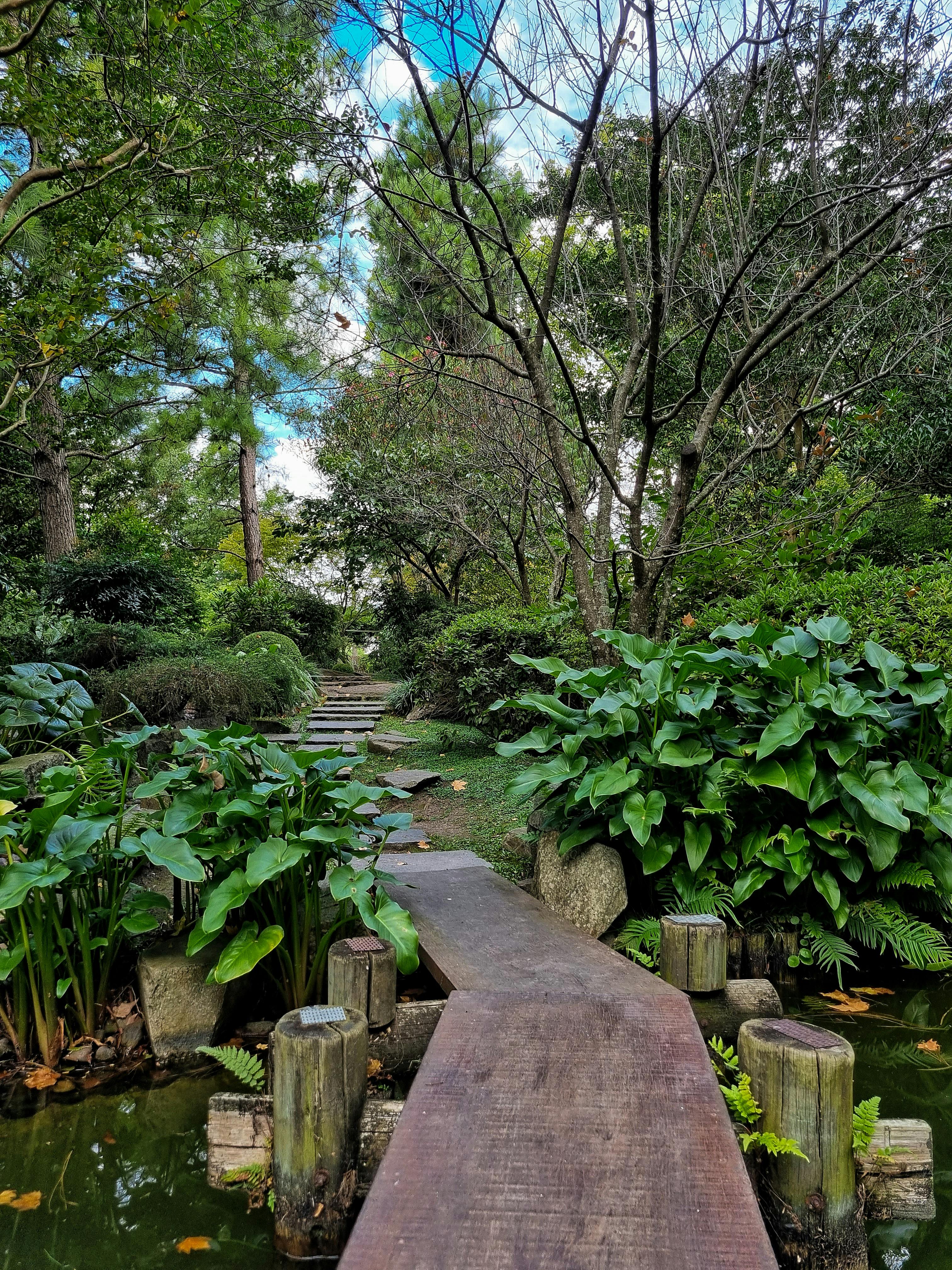 Woman Running Between Trees · Free Stock Photo