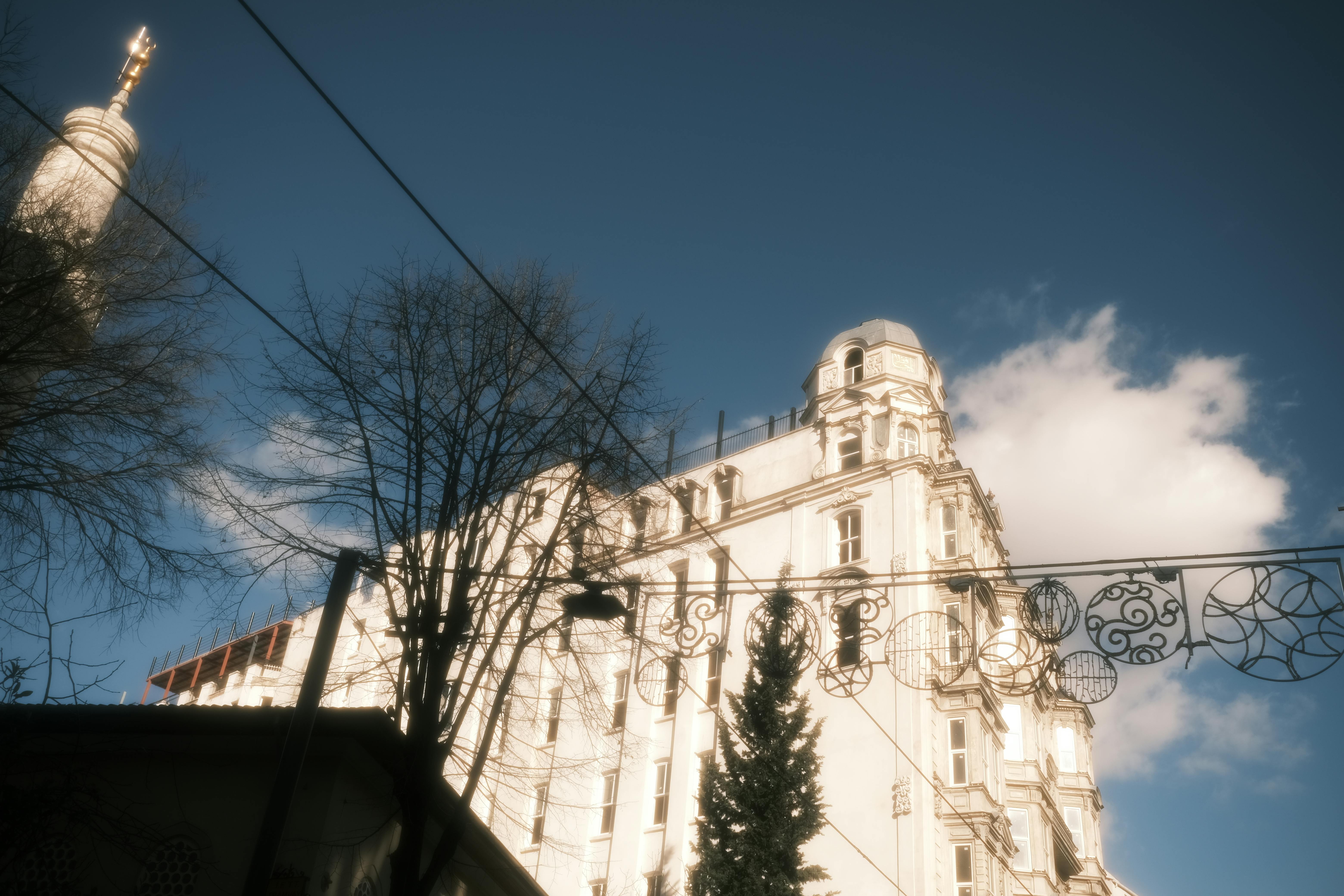 Trees and Building · Free Stock Photo