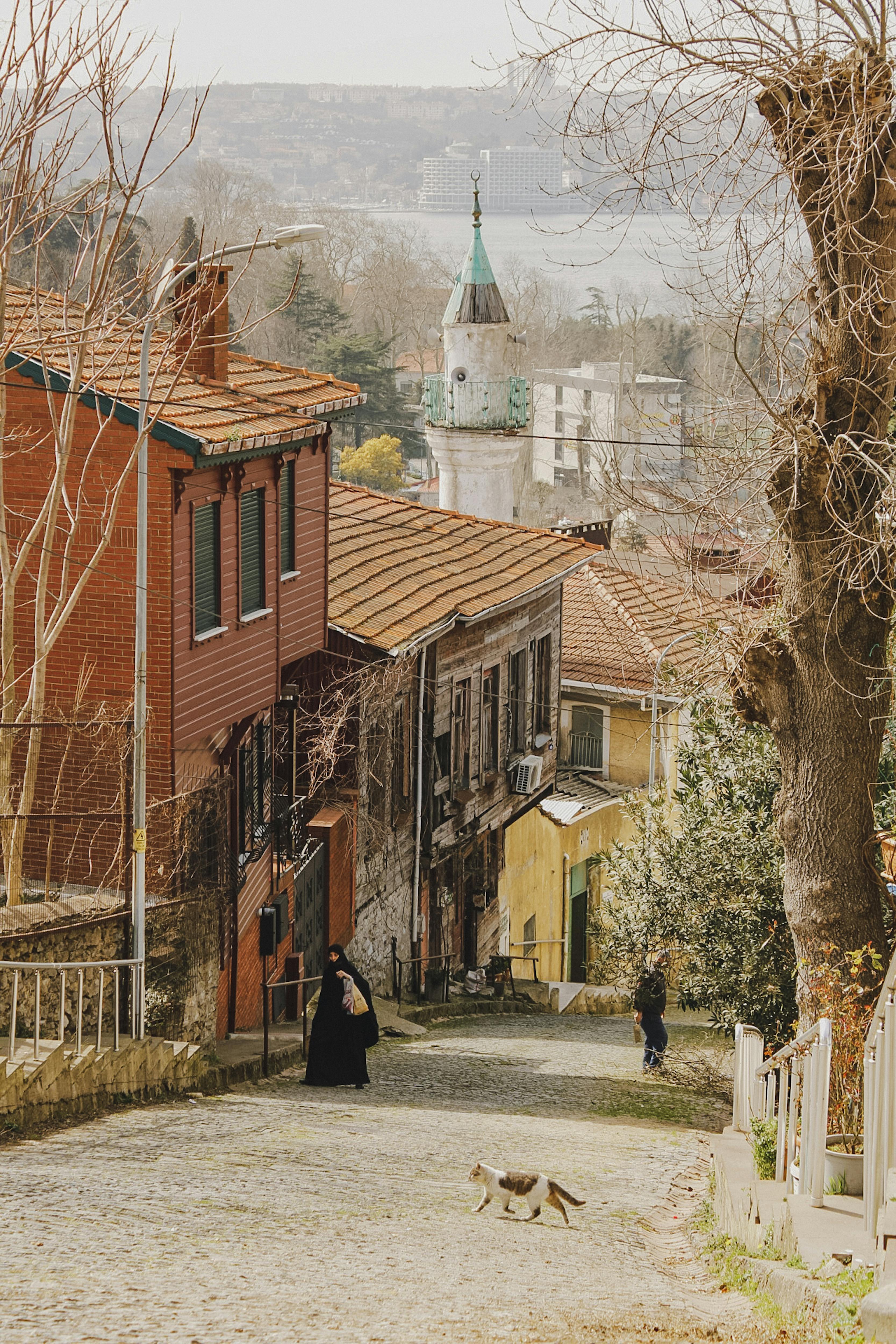 Inclined Cobblestone Street and Buildings in a Town · Free Stock Photo