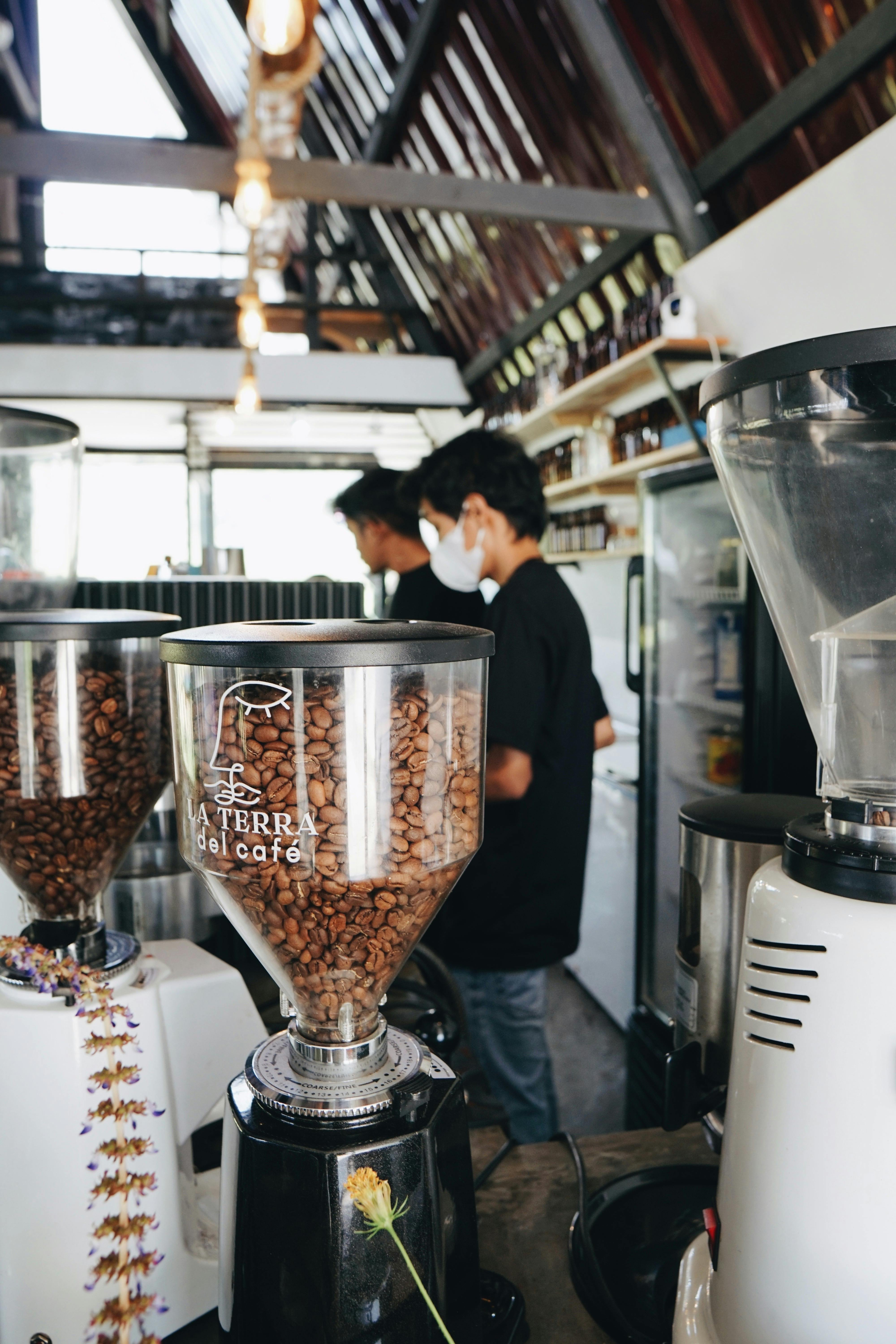 Man Working in Cafe · Free Stock Photo