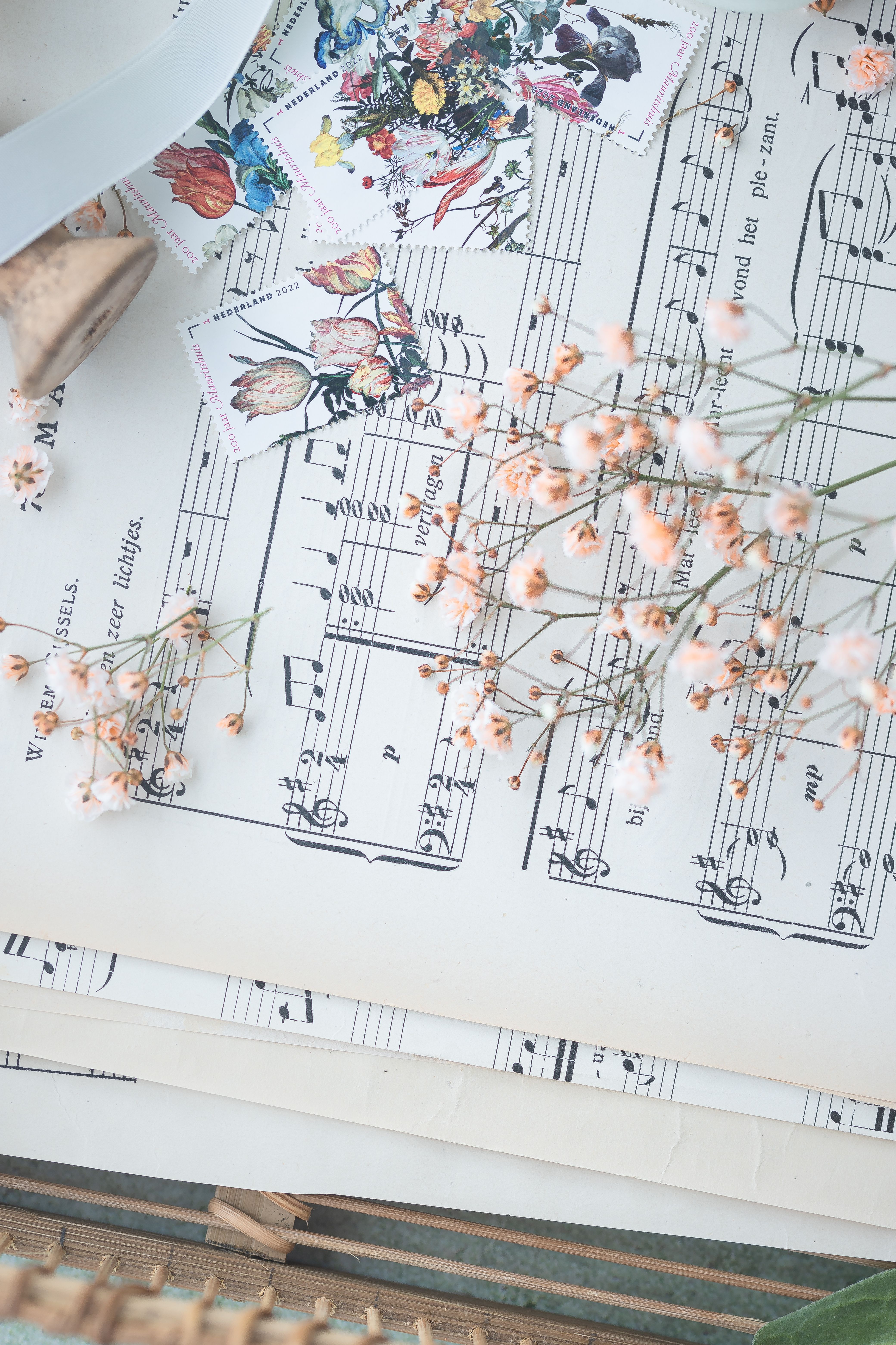 Flowers and Cards on Notes · Free Stock Photo
