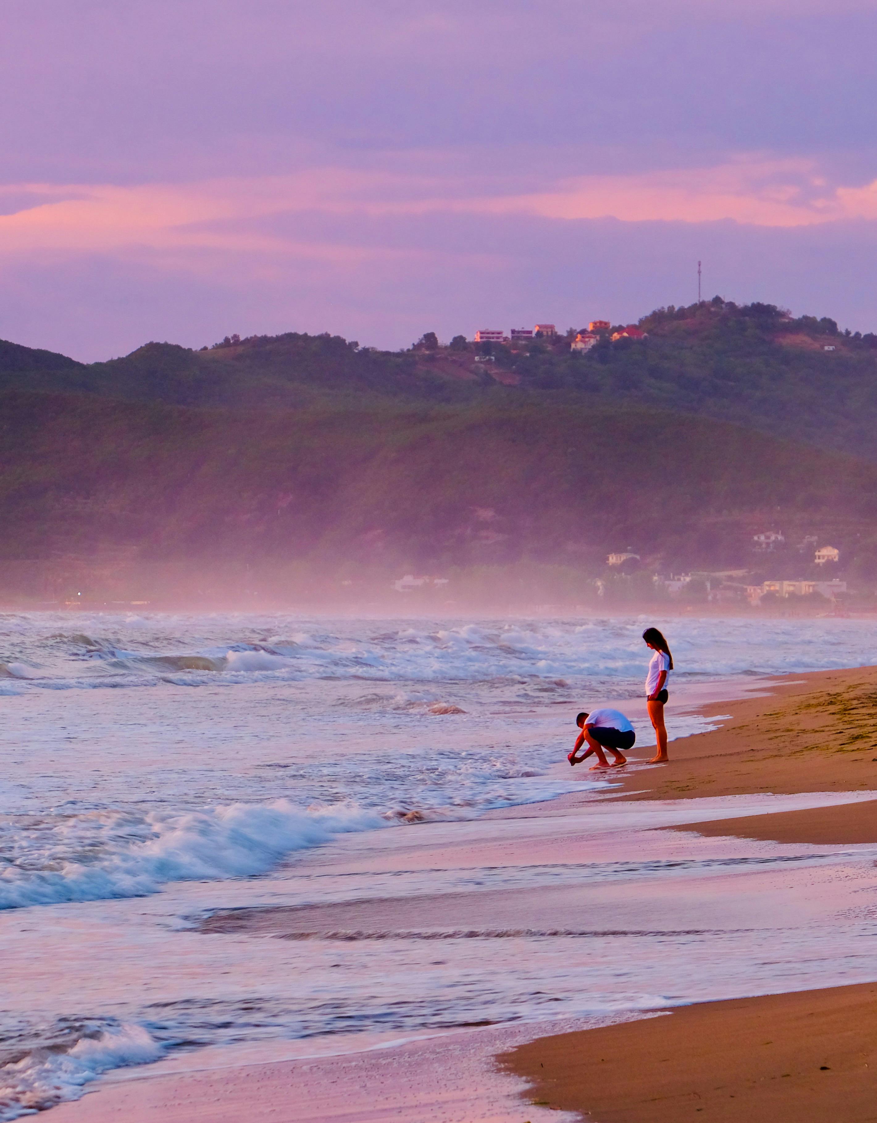 Enhjorning Durr Photos, Download Free Enhjorning Durr Stock Photos & HD ...